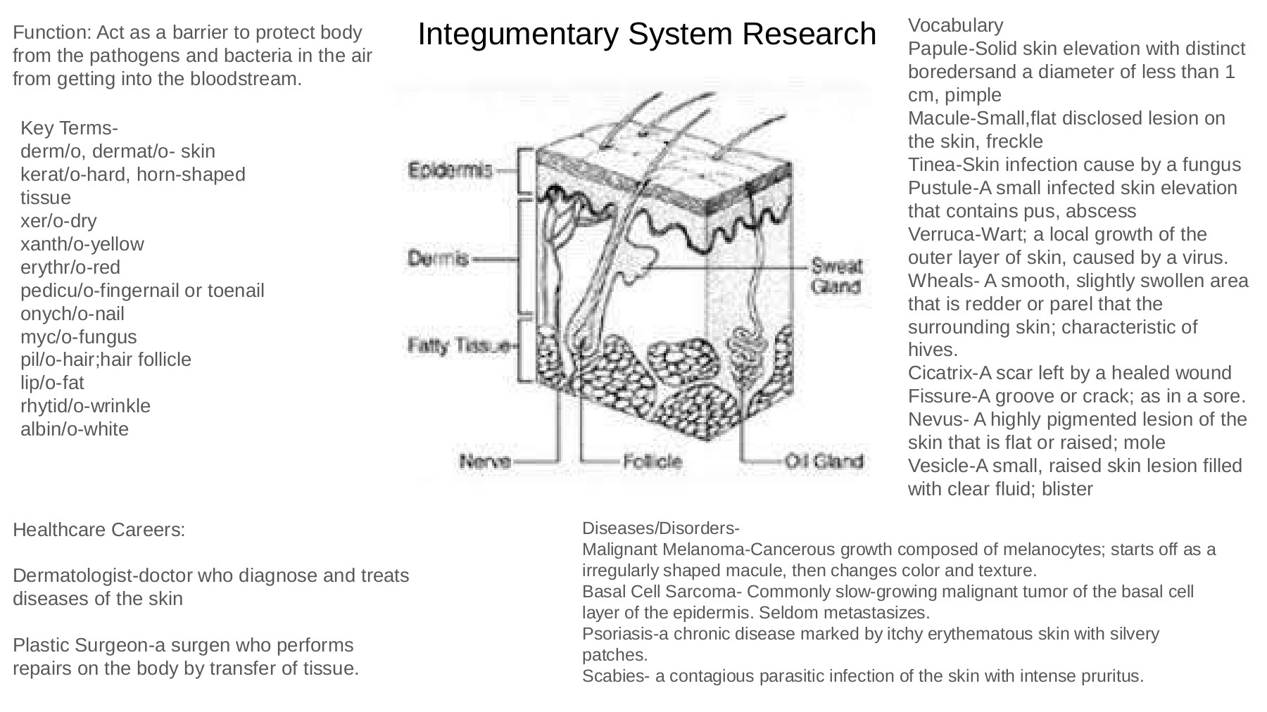 Integumentary System Research - Prakruthi Dwarakanath - Page 1 - 1 ...