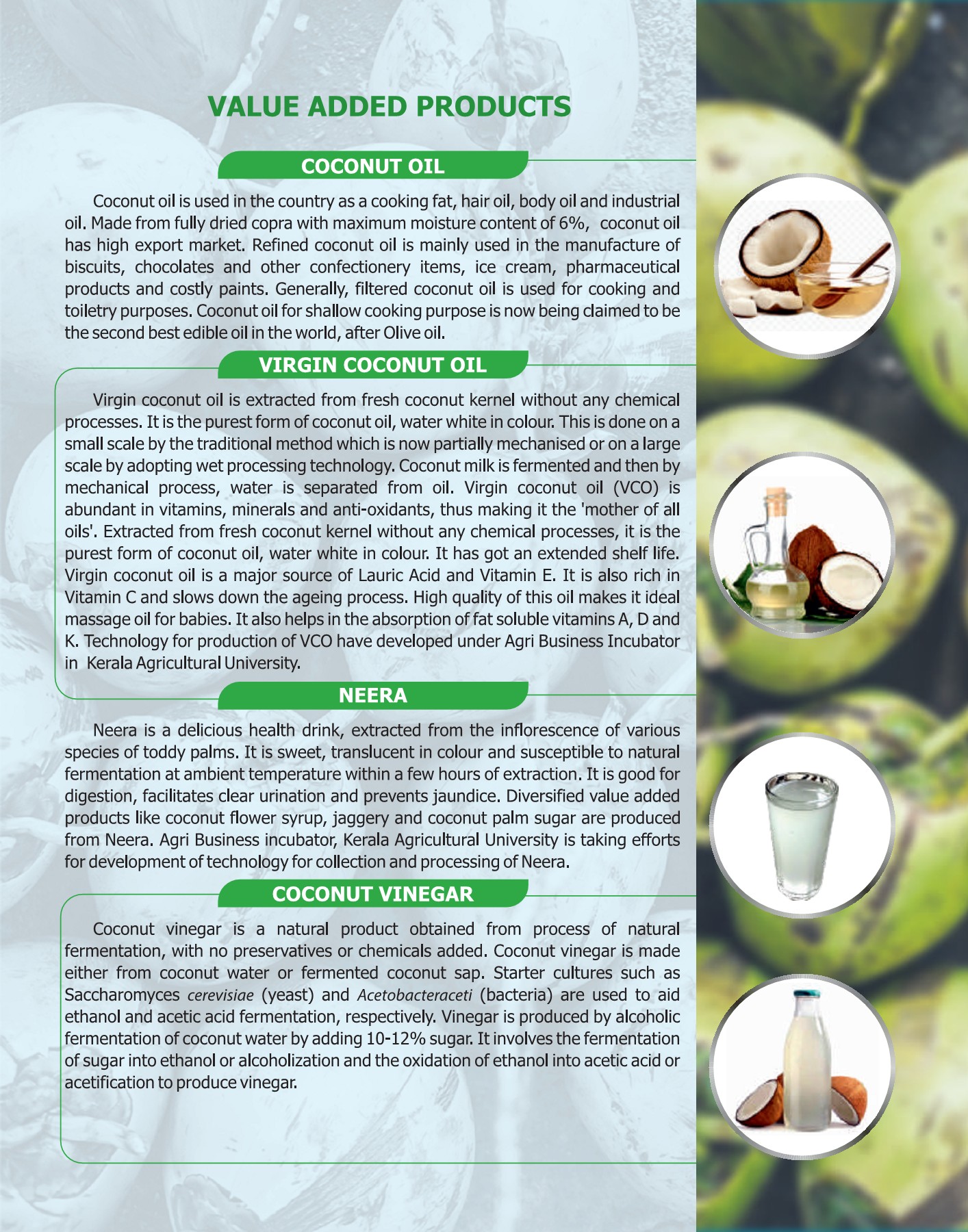 Knowledge and Skill Development on Coconut Based Secondary Agriculture - KAU Agri Business ...