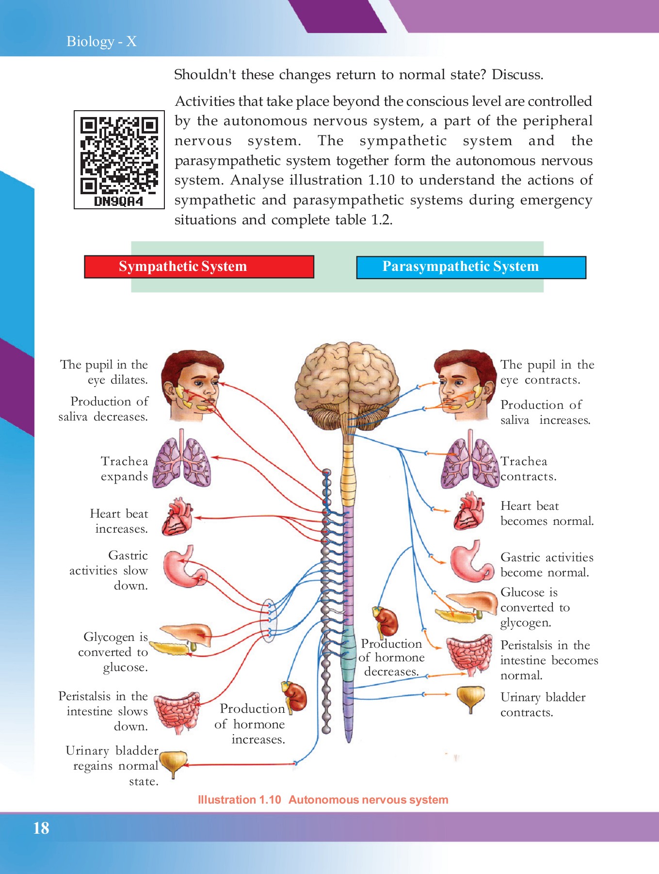 SCERT Kerala State Syllabus 10th Standard Biology Textbooks English Medium Part 1 ...