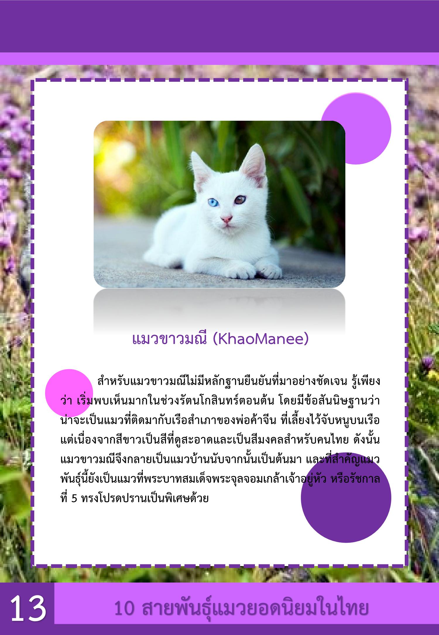 PowerPoint Presentation - decha2513aa - Page 18 | Flip PDF Online | PubHTML5