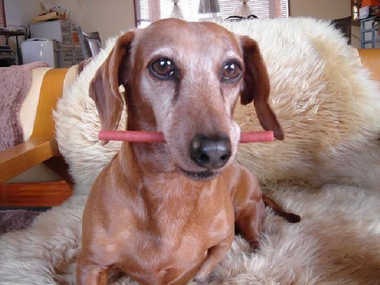 imagepdf - tsunehachi - Page 1 - 27 | Flip PDF Online | PubHTML5