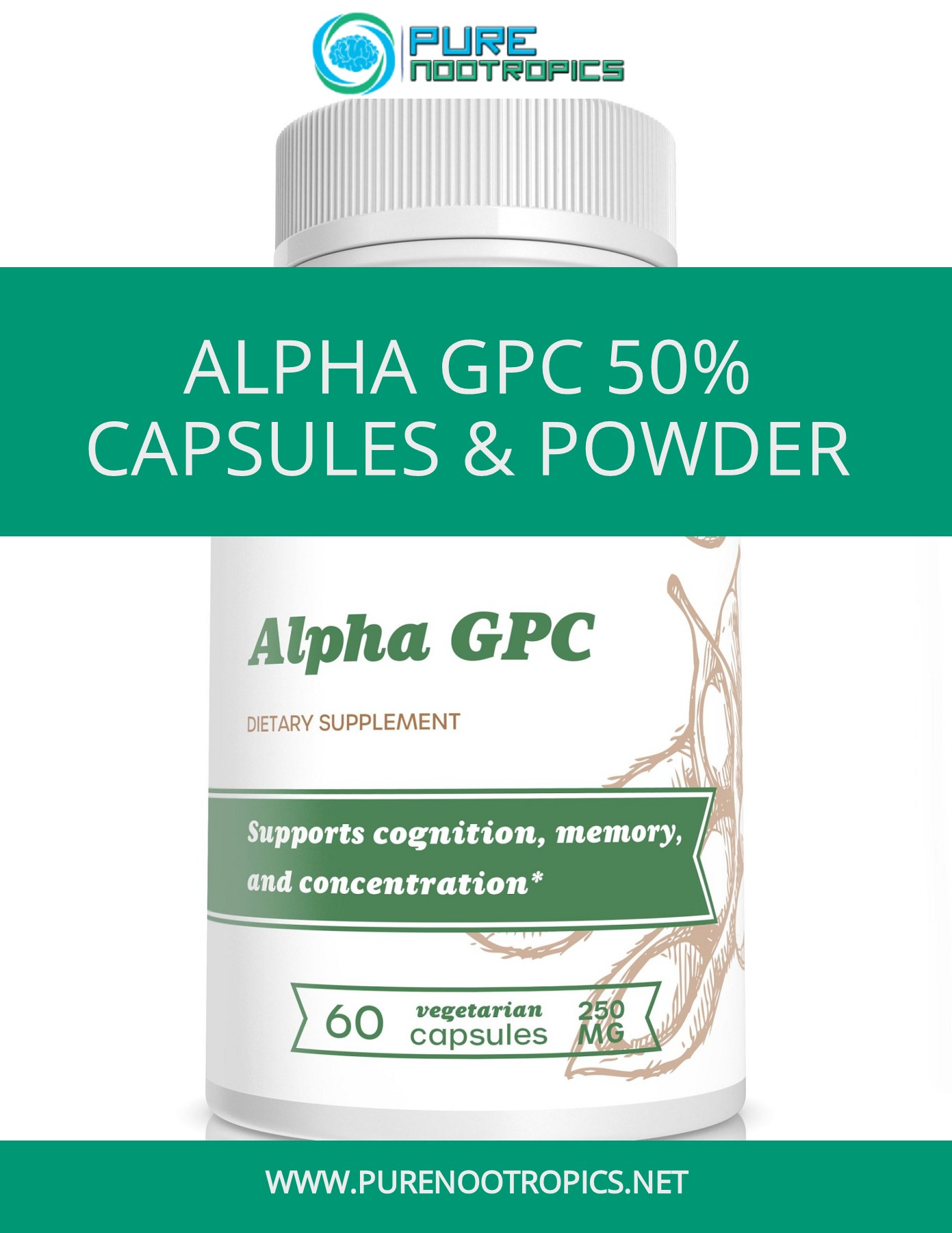 Alpha glycerylphosphorylcholine - Pure Nootropics - Page 1 - 11 | Flip ...