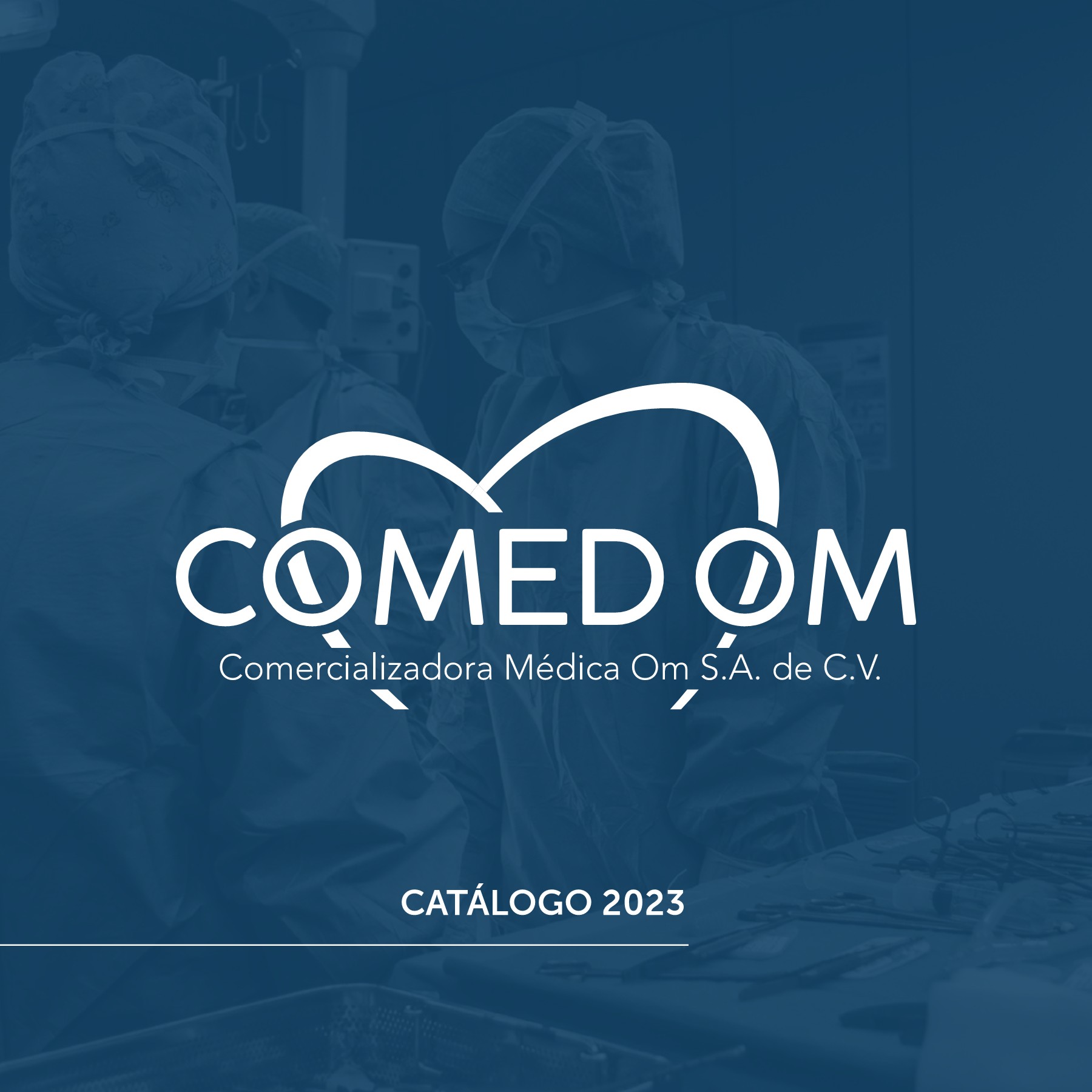 COMED-OM CATALOGO WEB 2022 - beca_trejo - Page 1 - 79 | Flip PDF Online ...