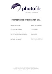 CICA TEMPLATE - annie - Page 1 - 6 | Flip PDF Online | PubHTML5