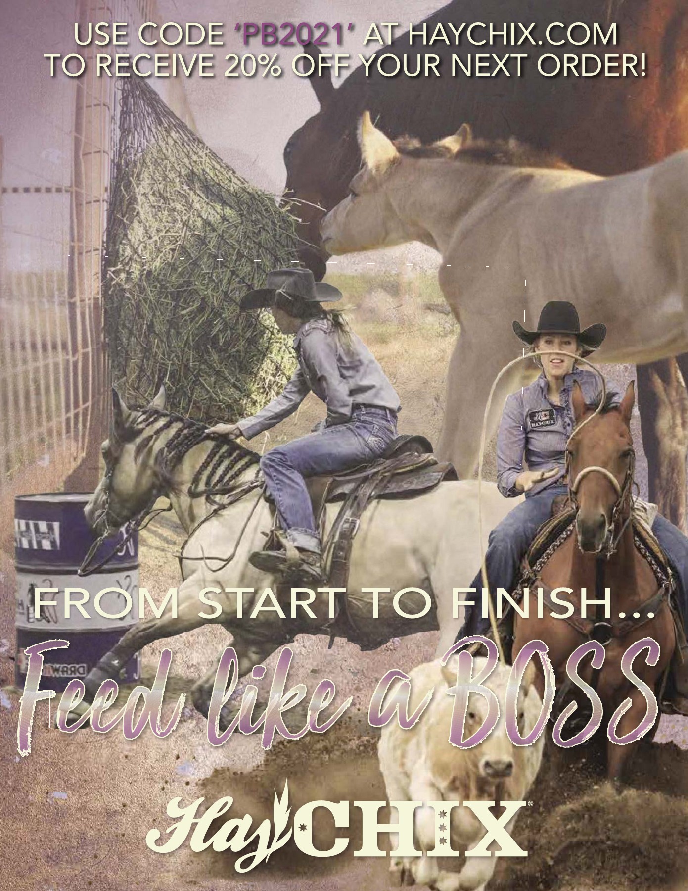 Pink Buckle 2021 Race Program and Stallion Guide - trishaj1 - Page 2 ...