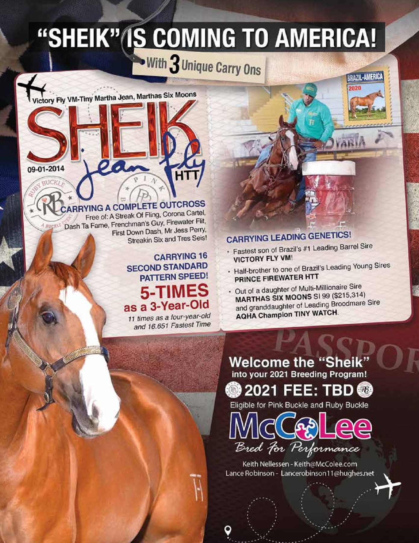 Pink Buckle 2021 Race Program and Stallion Guide - trishaj1 - Page 38 ...
