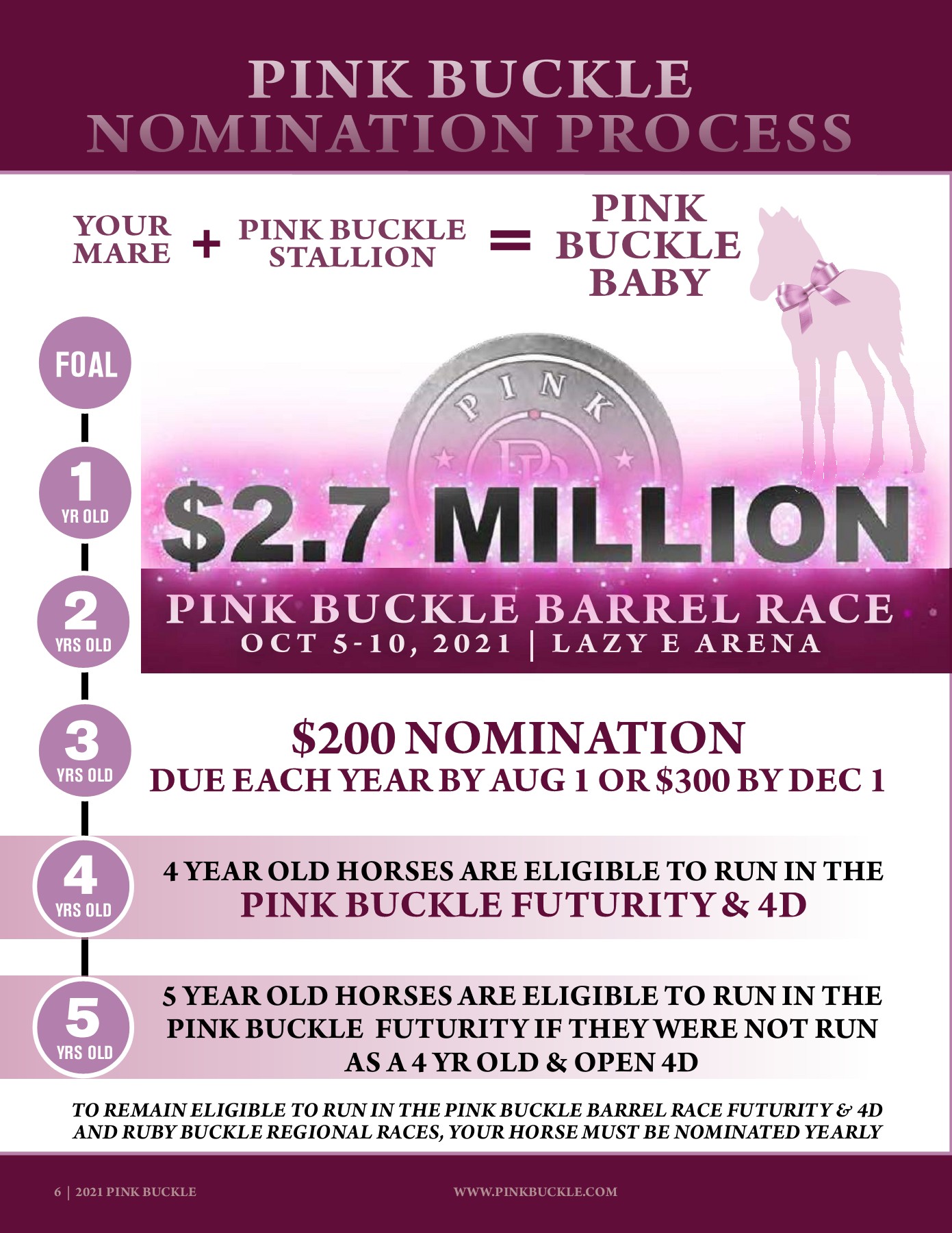 Pink Buckle 2021 Race Program and Stallion Guide - trishaj1 - Page 8 ...