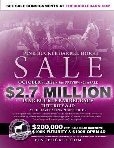 Pink Buckle 2021 Race Program and Stallion Guide - trishaj1 - Page 11 ...