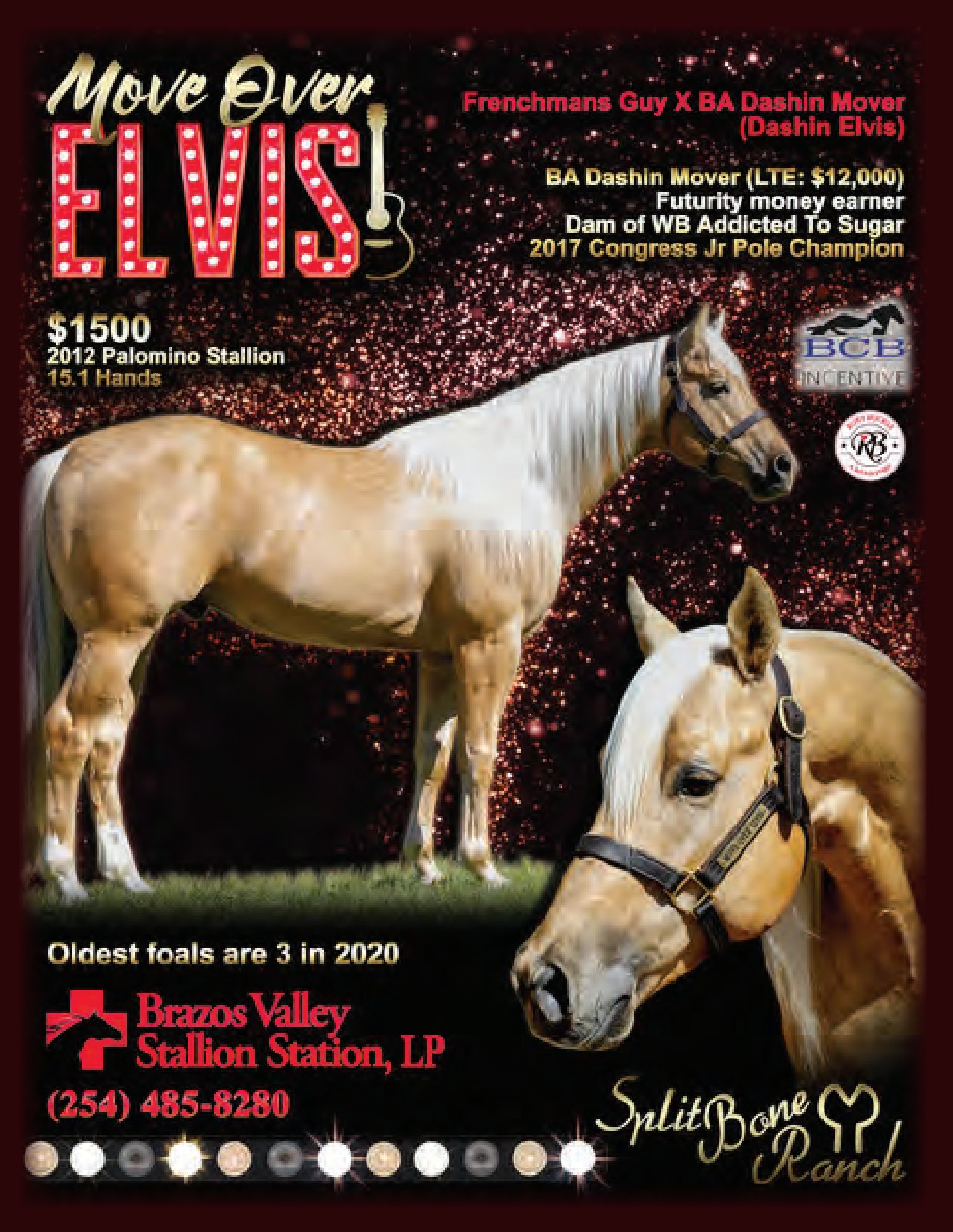 2020 Ruby Buckle Stallion Guide - trishaj1 - Page 100 | Flip PDF Online ...