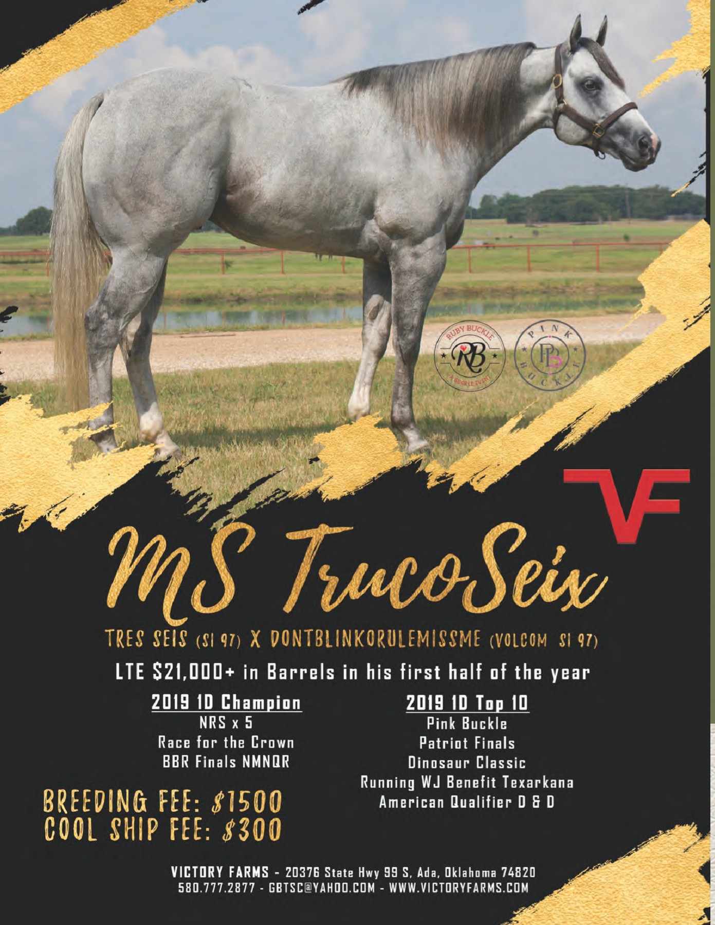 2020 Ruby Buckle Stallion Guide - trishaj1 - Page 104 | Flip PDF Online ...