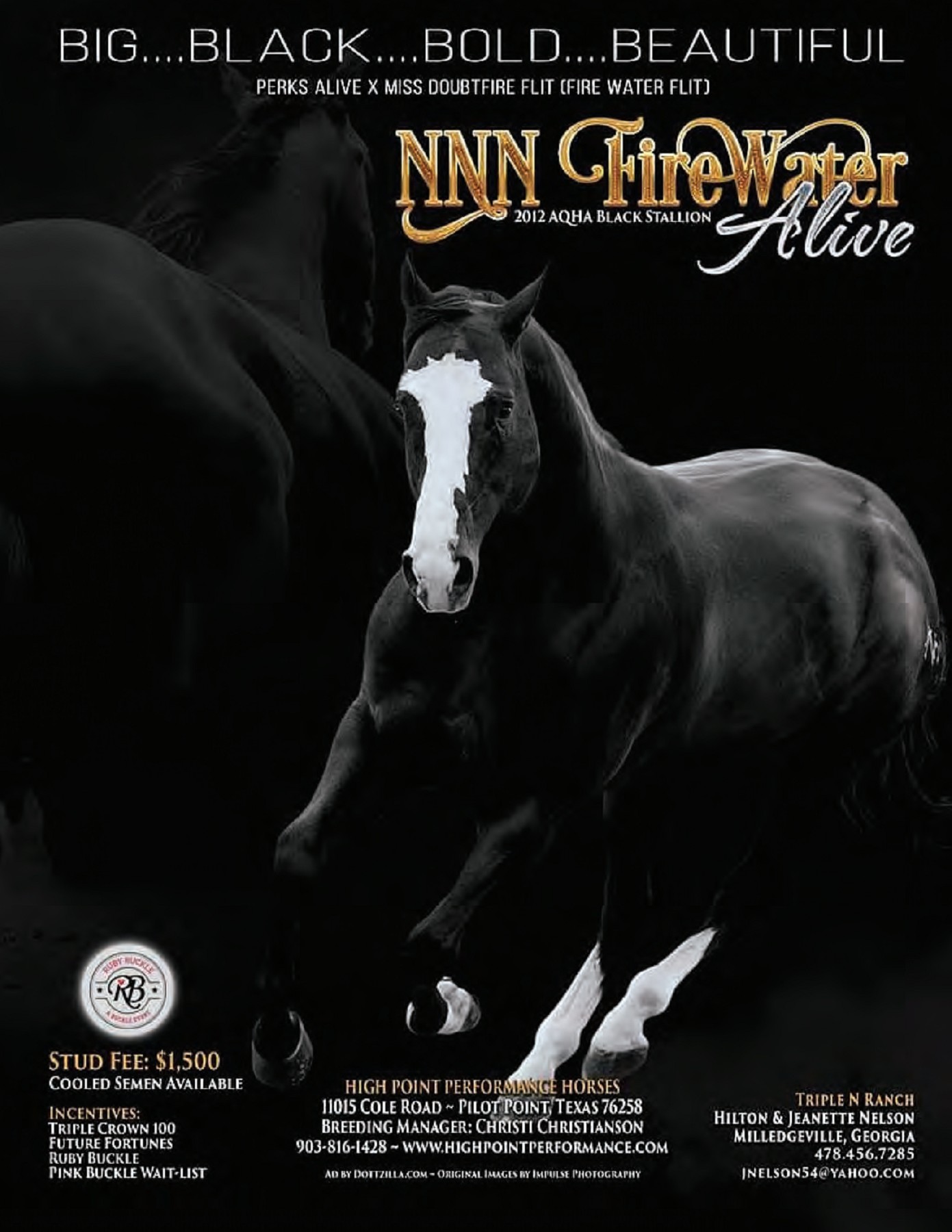 2020 Ruby Buckle Stallion Guide - trishaj1 - Page 109 | Flip PDF Online ...