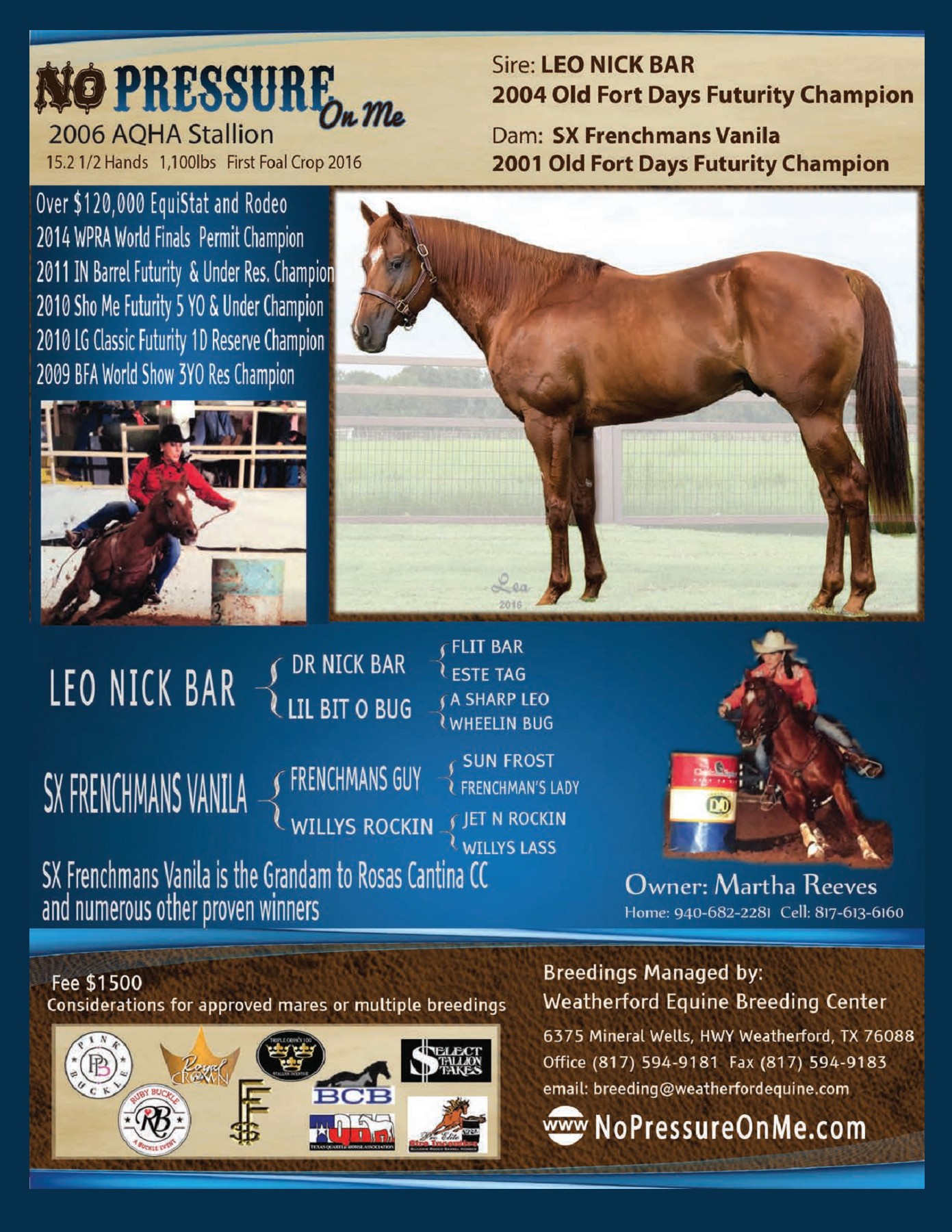 2020 Ruby Buckle Stallion Guide - trishaj1 - Page 110 | Flip PDF Online ...