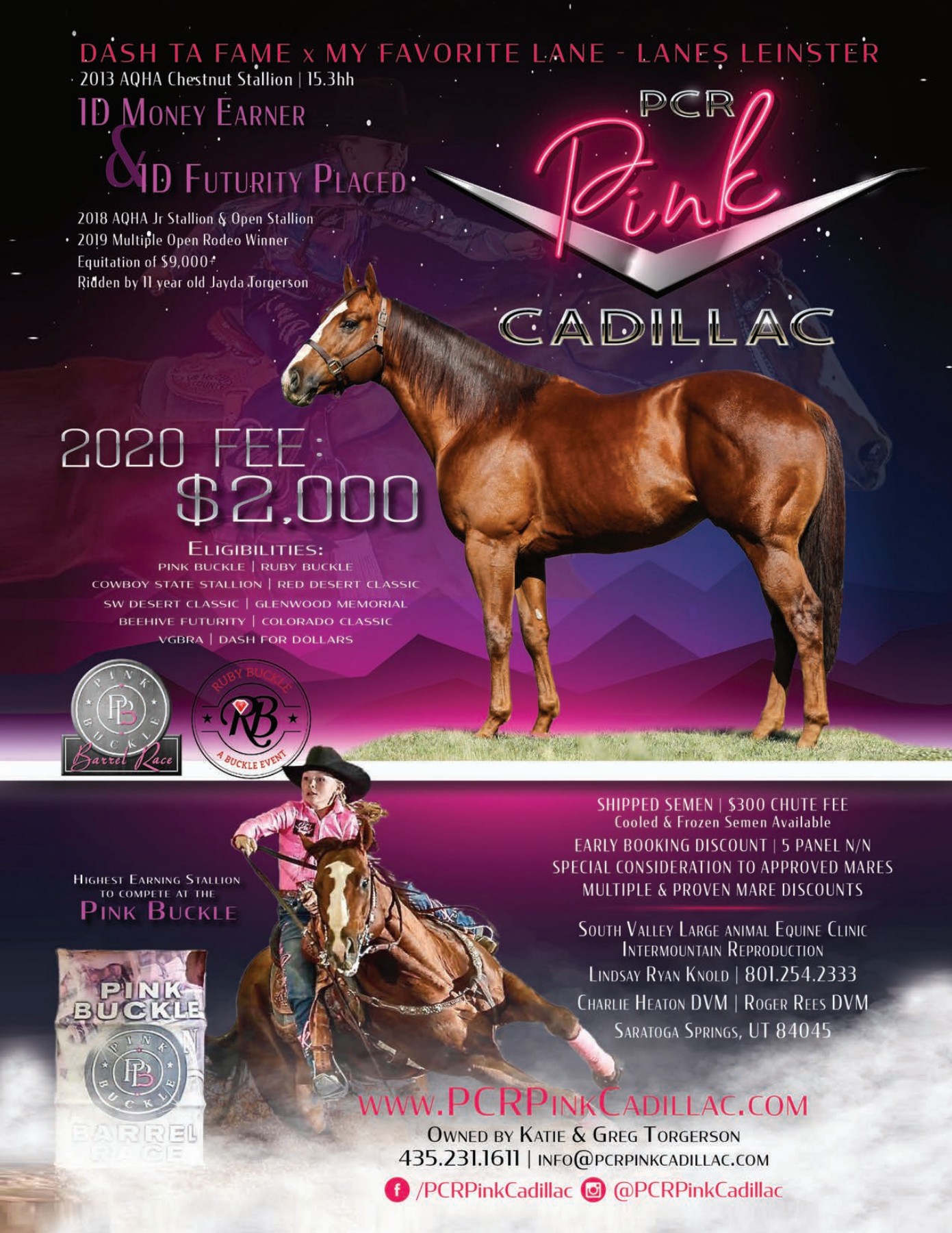 2020 Ruby Buckle Stallion Guide - trishaj1 - Page 113 | Flip PDF Online ...