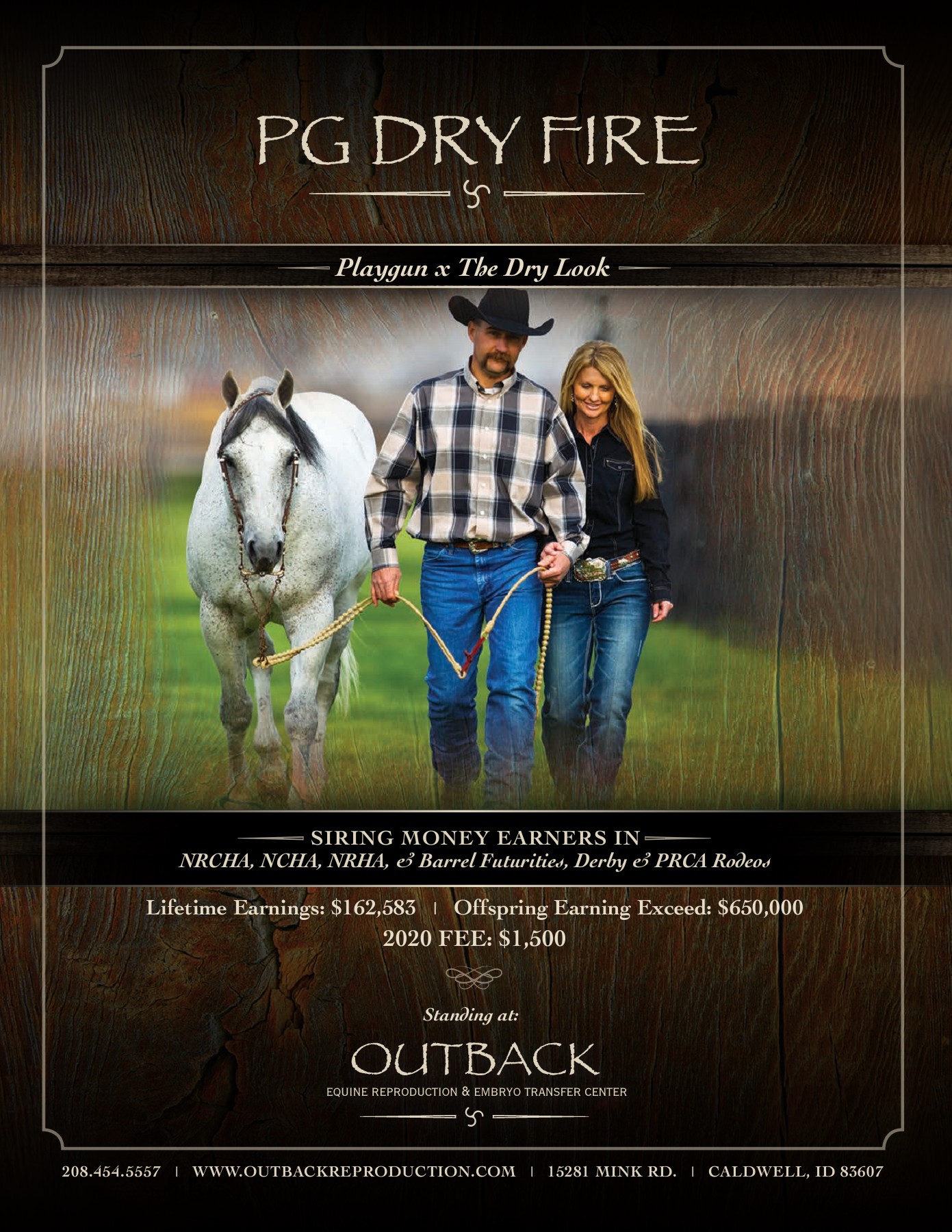 2020 Ruby Buckle Stallion Guide - trishaj1 - Page 114 | Flip PDF Online ...