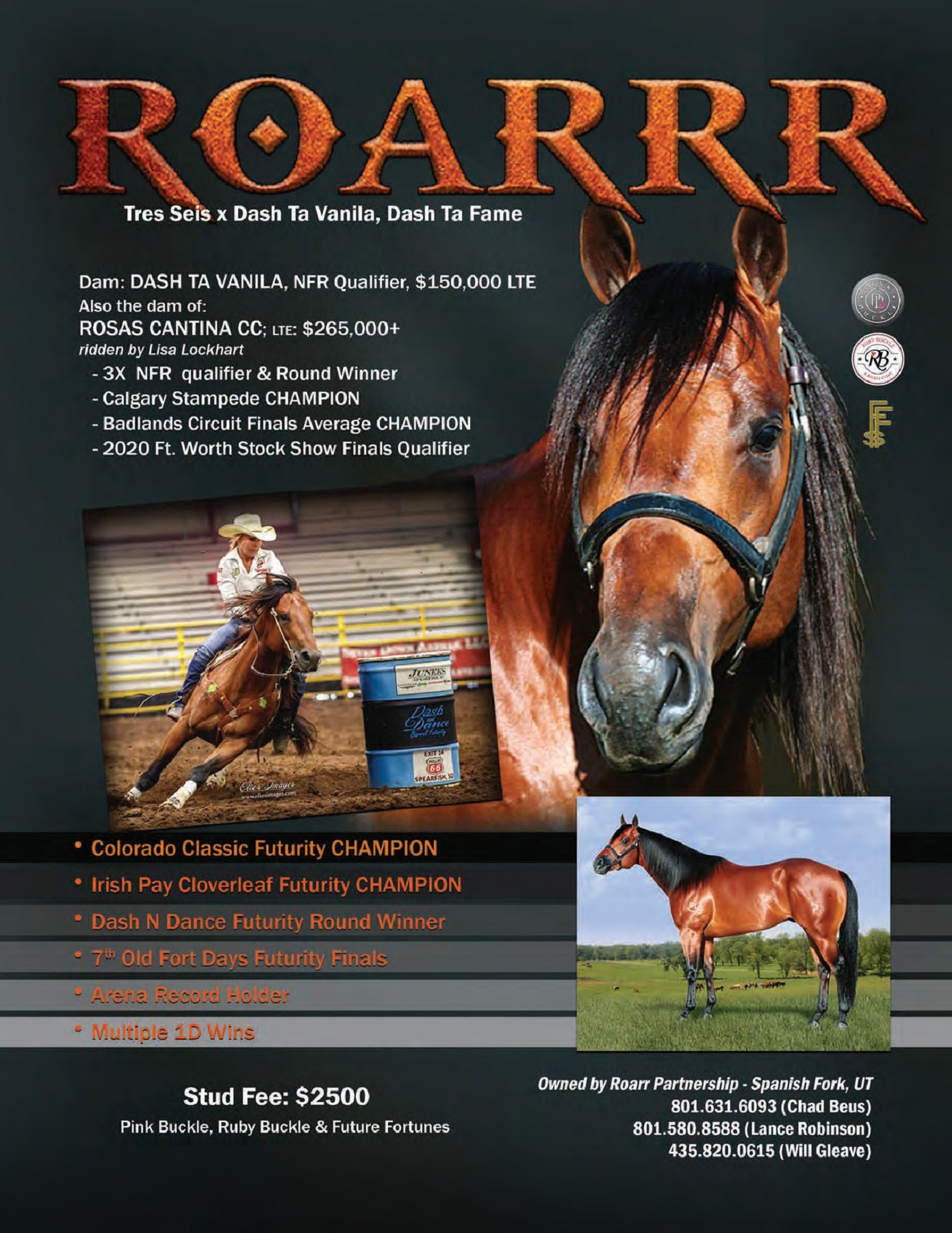 2020 Ruby Buckle Stallion Guide - trishaj1 - Page 121 | Flip PDF Online ...