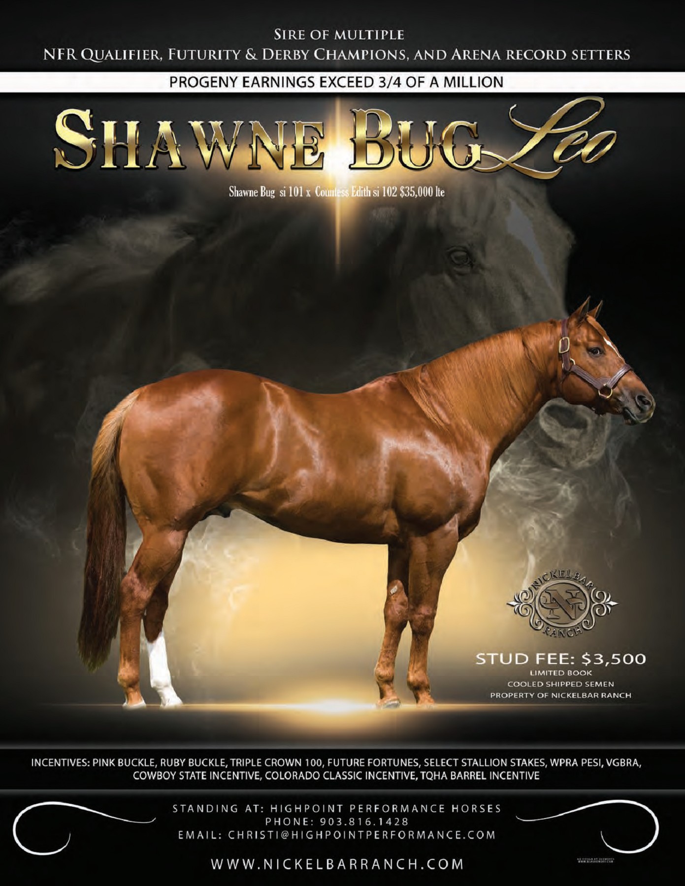 2020 Ruby Buckle Stallion Guide - trishaj1 - Page 126 | Flip PDF Online ...