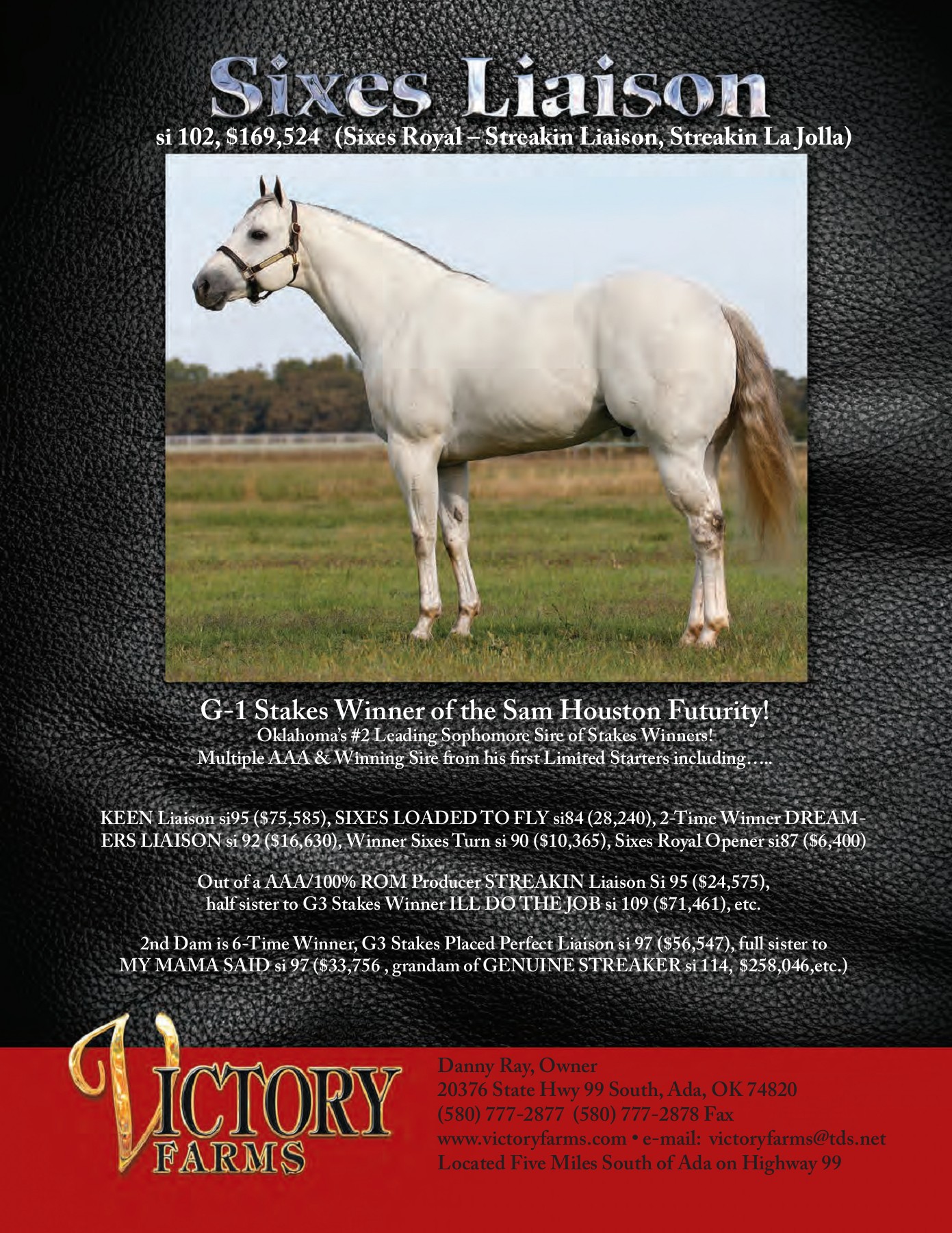 2020 Ruby Buckle Stallion Guide - trishaj1 - Page 127 | Flip PDF Online ...