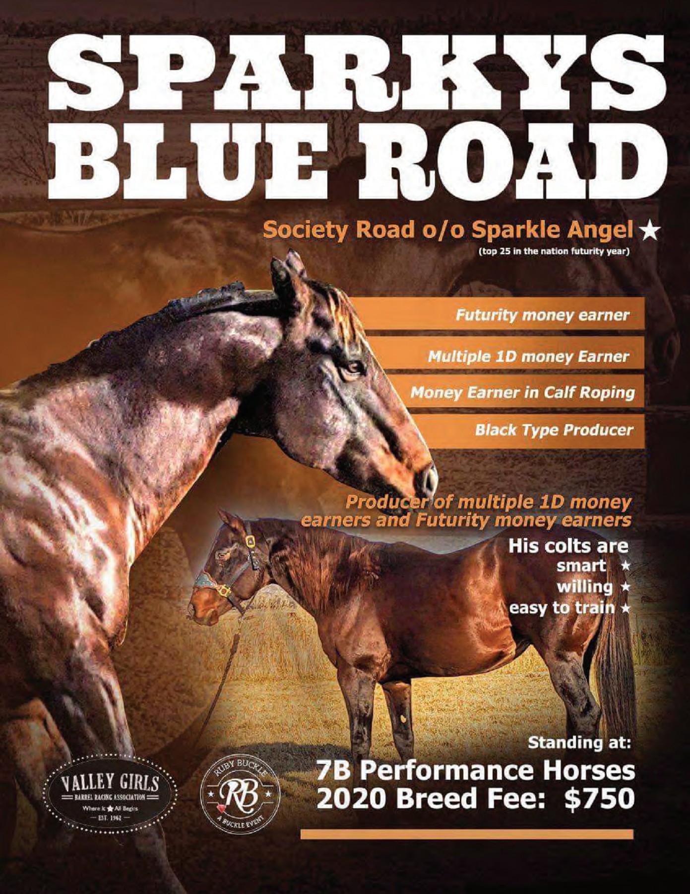 2020 Ruby Buckle Stallion Guide - trishaj1 - Page 131 | Flip PDF Online ...