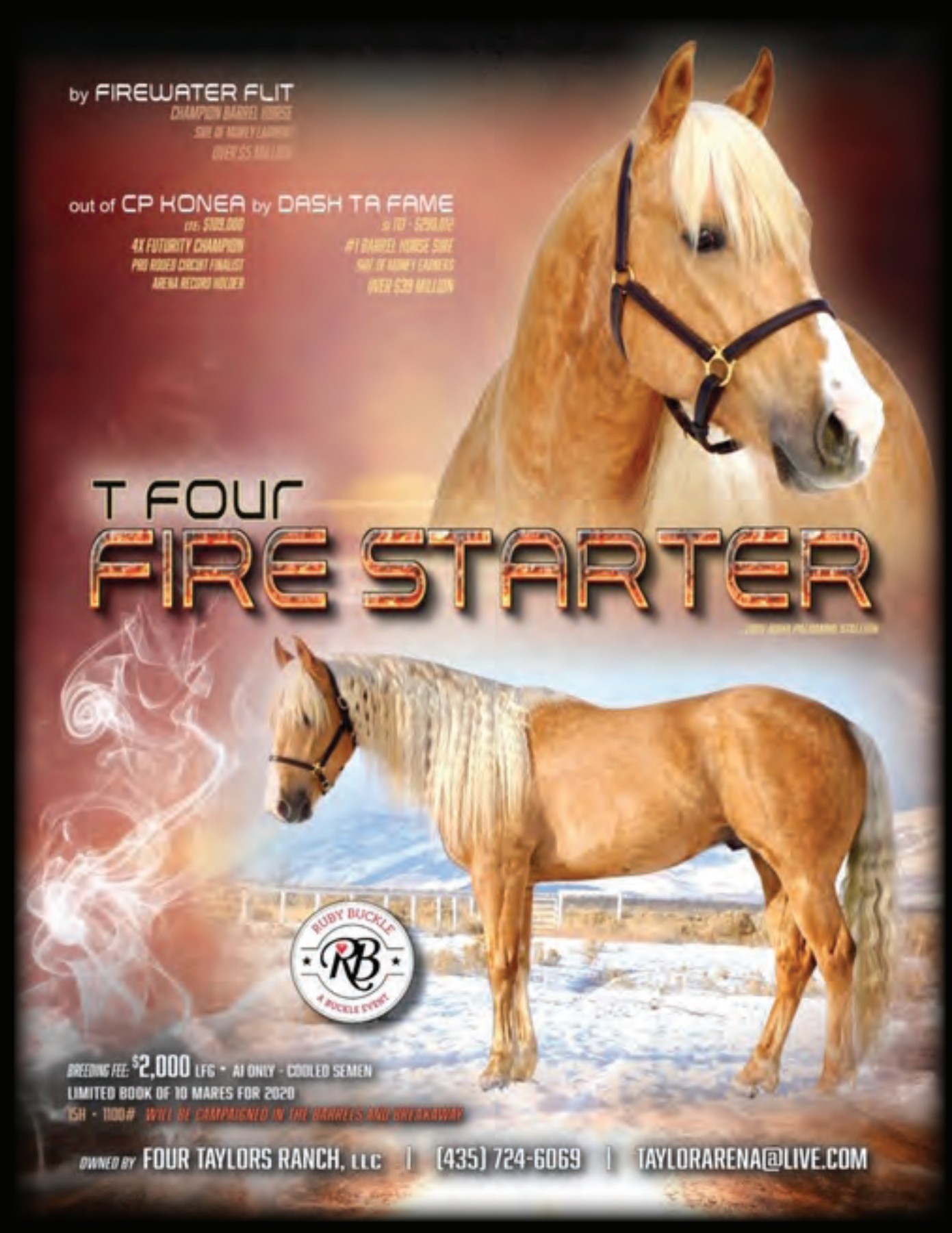 2020 Ruby Buckle Stallion Guide - trishaj1 - Page 134 | Flip PDF Online ...
