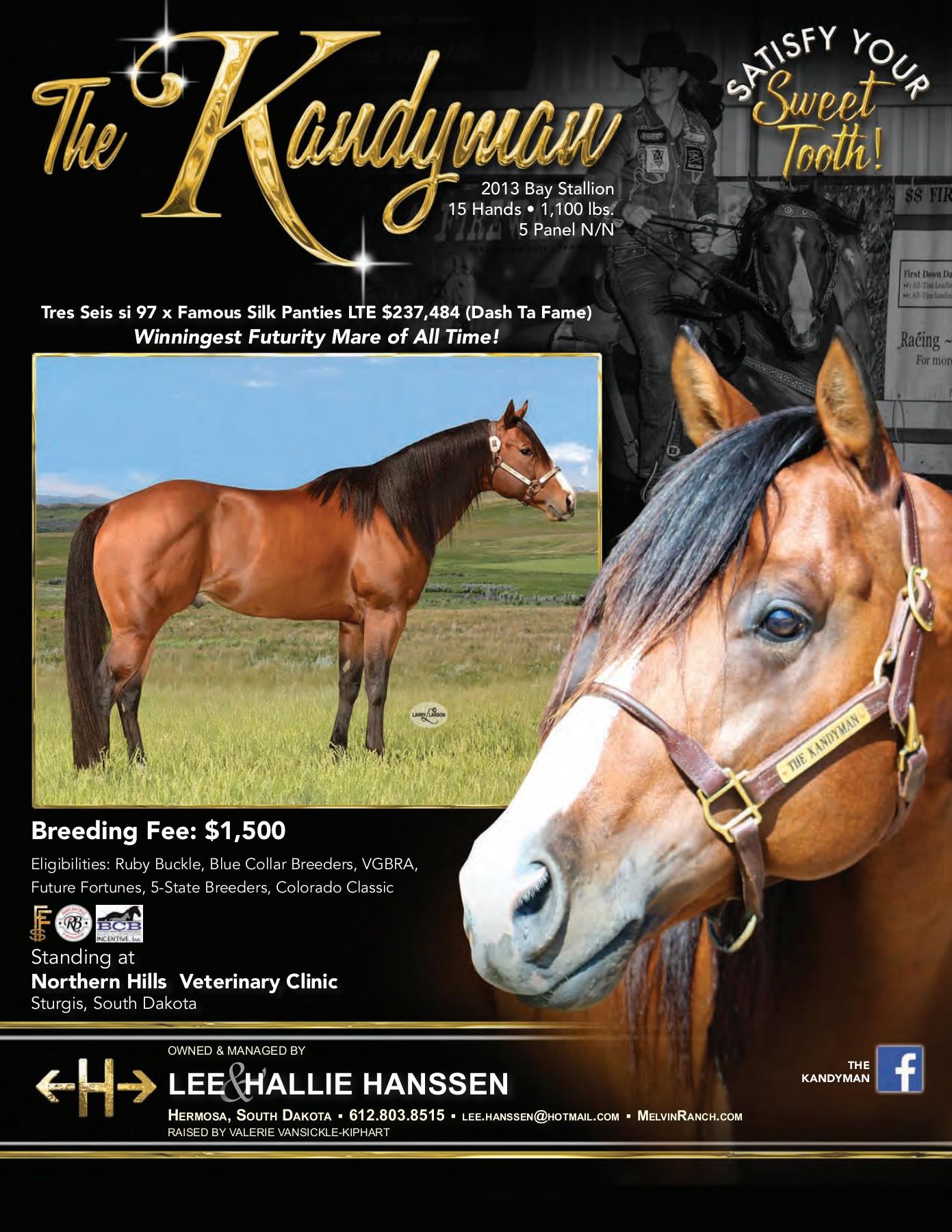 2020 Ruby Buckle Stallion Guide - trishaj1 - Page 137 | Flip PDF Online ...