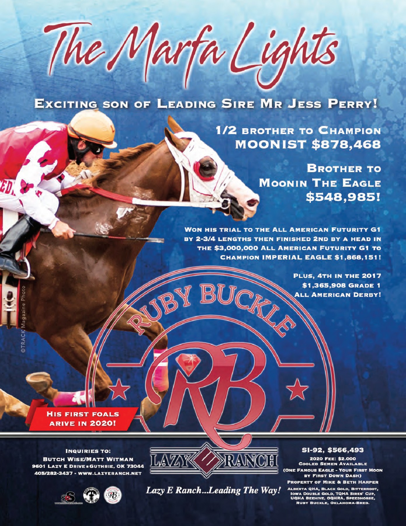 2020 Ruby Buckle Stallion Guide - trishaj1 - Page 138 | Flip PDF Online ...