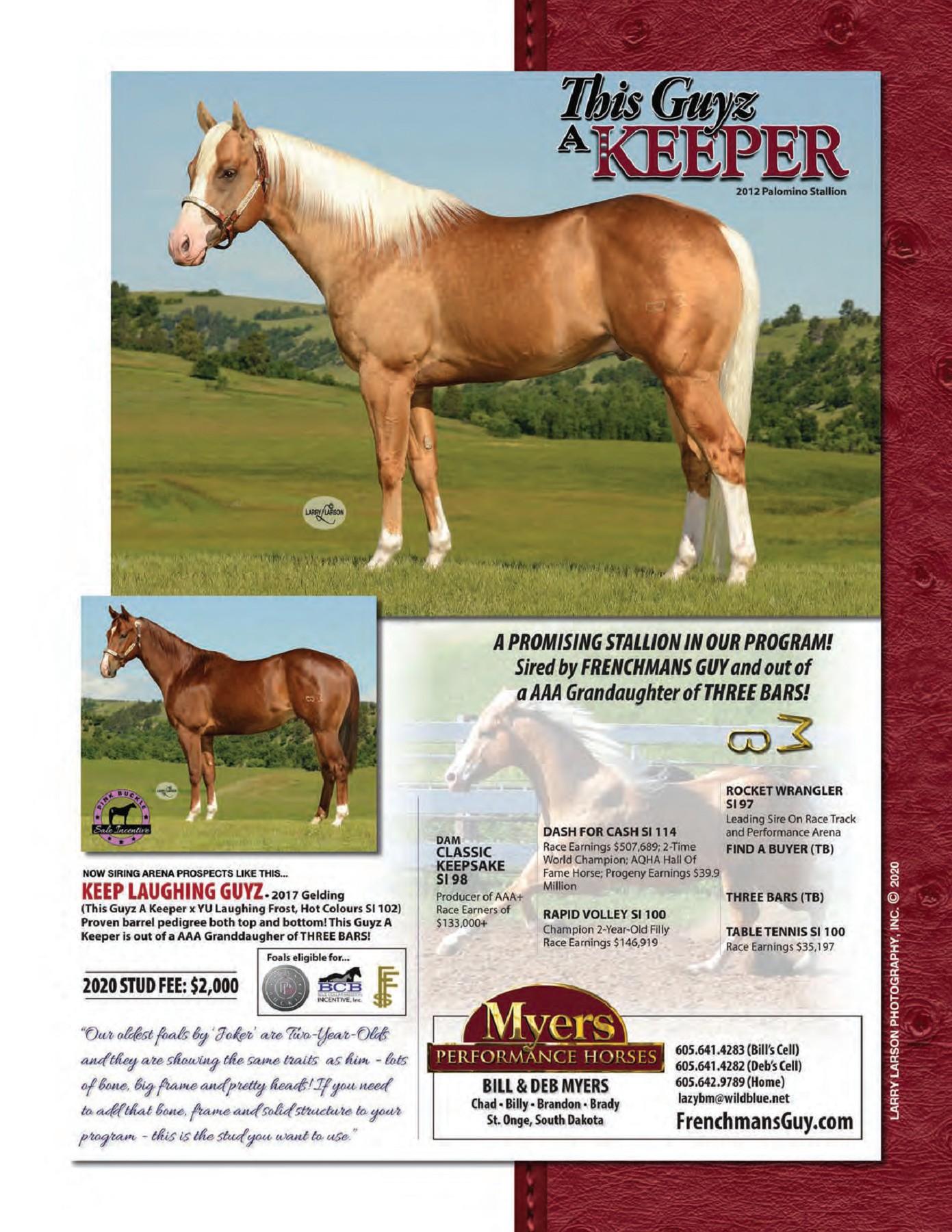 2020 Ruby Buckle Stallion Guide - trishaj1 - Page 141 | Flip PDF Online ...