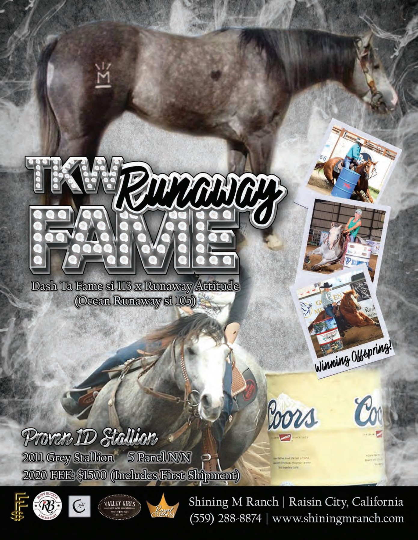 2020 Ruby Buckle Stallion Guide - trishaj1 - Page 142 | Flip PDF Online ...