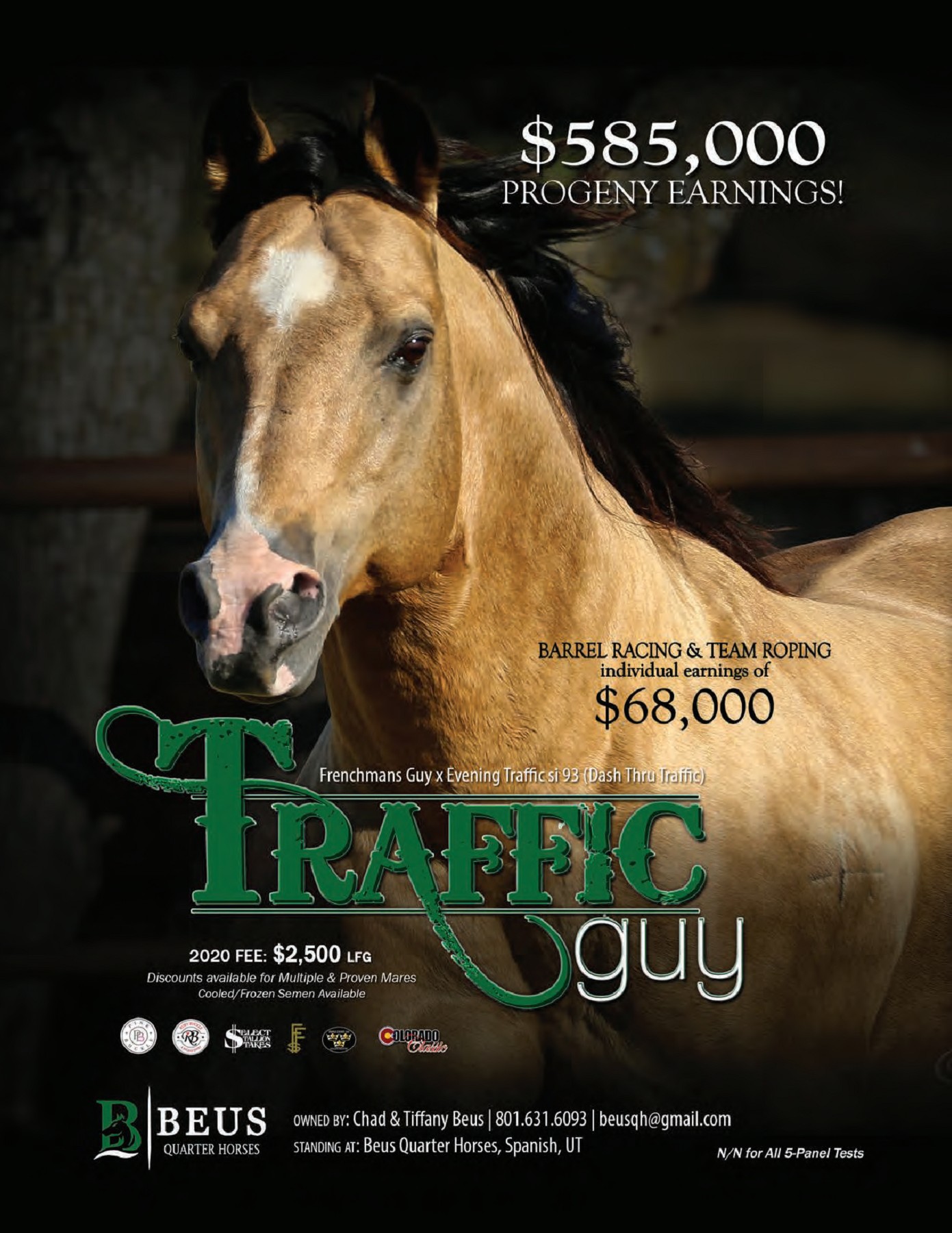 2020 Ruby Buckle Stallion Guide - trishaj1 - Page 143 | Flip PDF Online ...