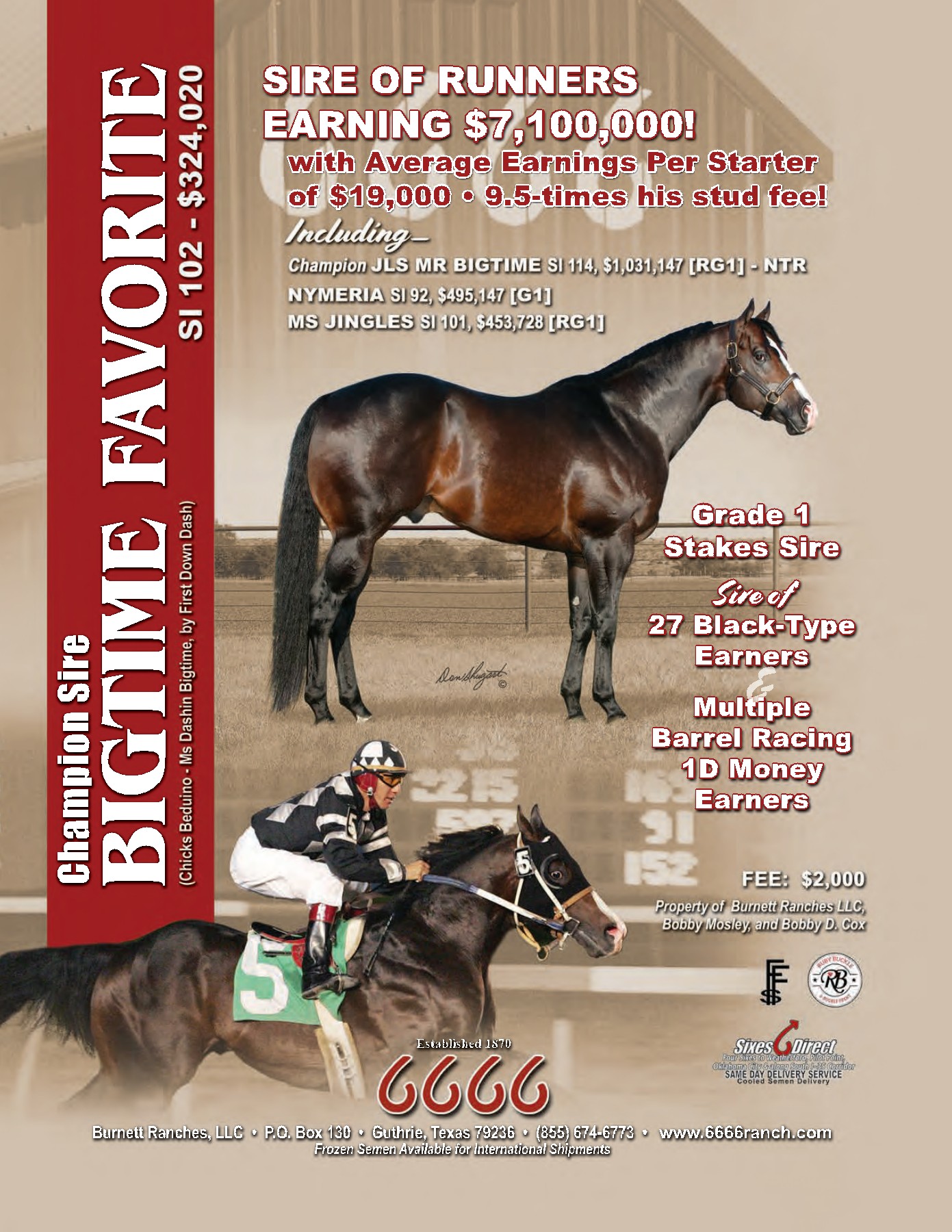 2020 Ruby Buckle Stallion Guide - trishaj1 - Page 18 | Flip PDF Online ...