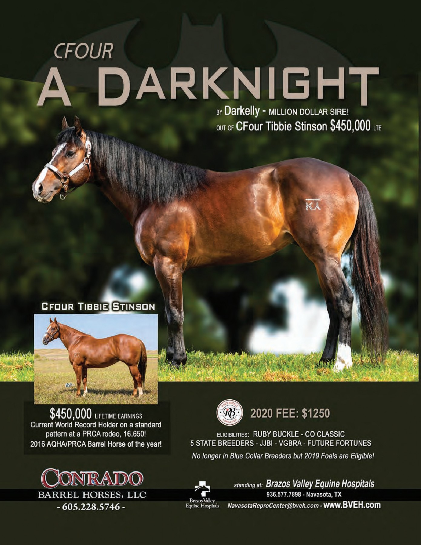 2020 Ruby Buckle Stallion Guide - trishaj1 - Page 32 | Flip PDF Online ...