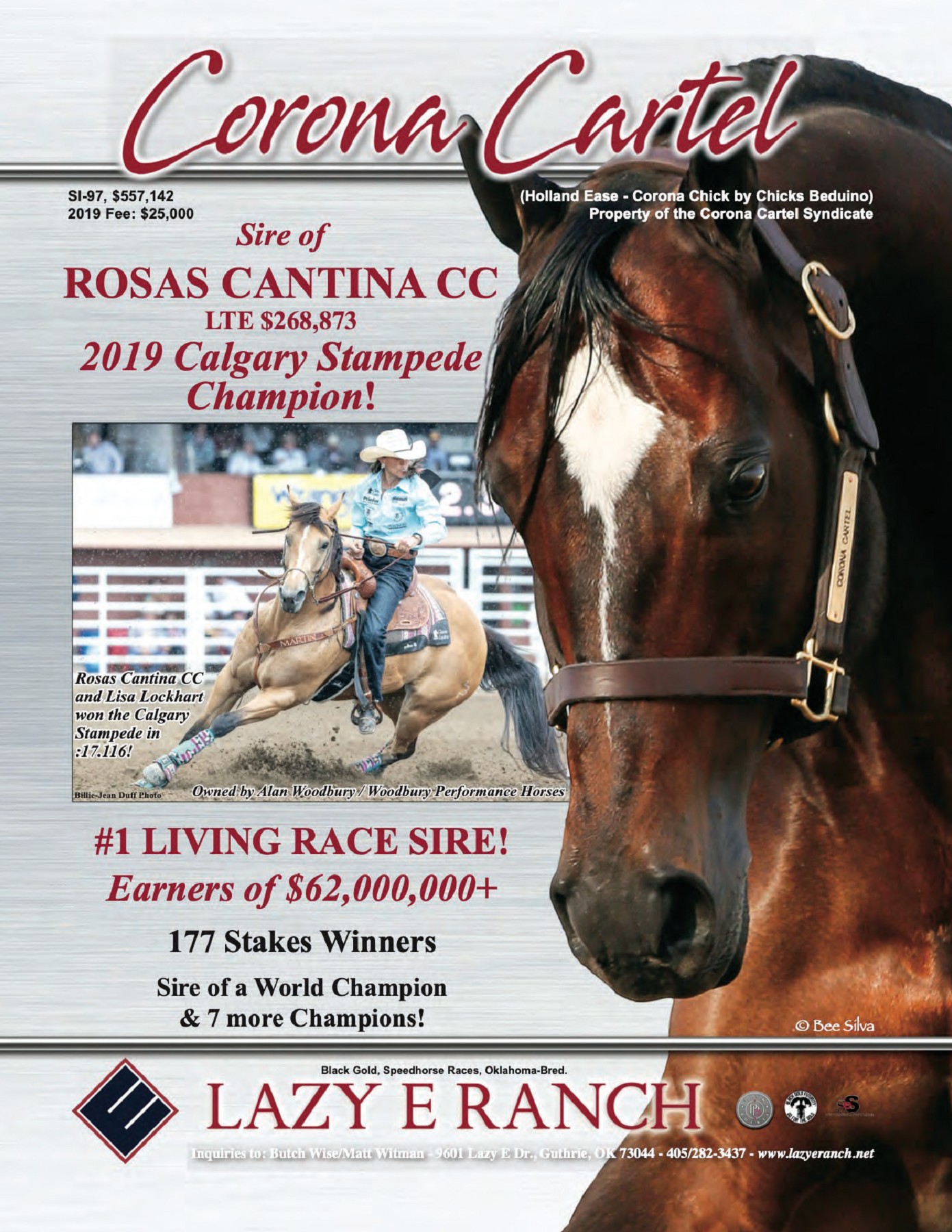 2020 Ruby Buckle Stallion Guide - trishaj1 - Page 33 | Flip PDF Online ...