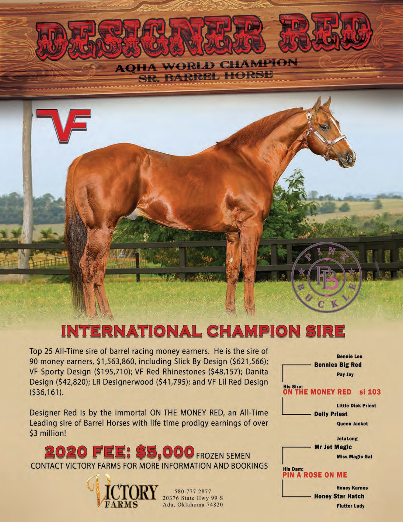 2020 Ruby Buckle Stallion Guide - trishaj1 - Page 38 | Flip PDF Online ...