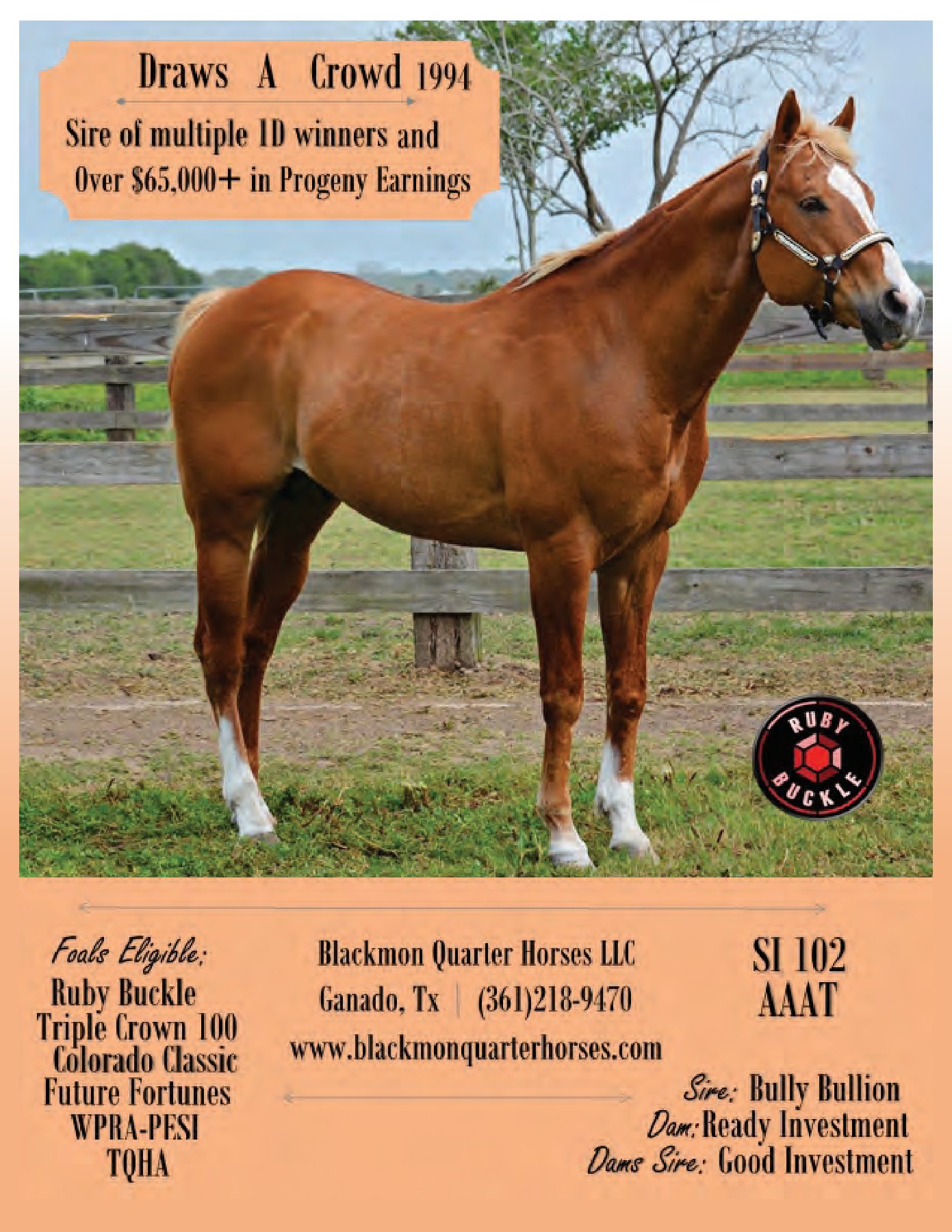 2020 Ruby Buckle Stallion Guide - trishaj1 - Page 40 | Flip PDF Online ...