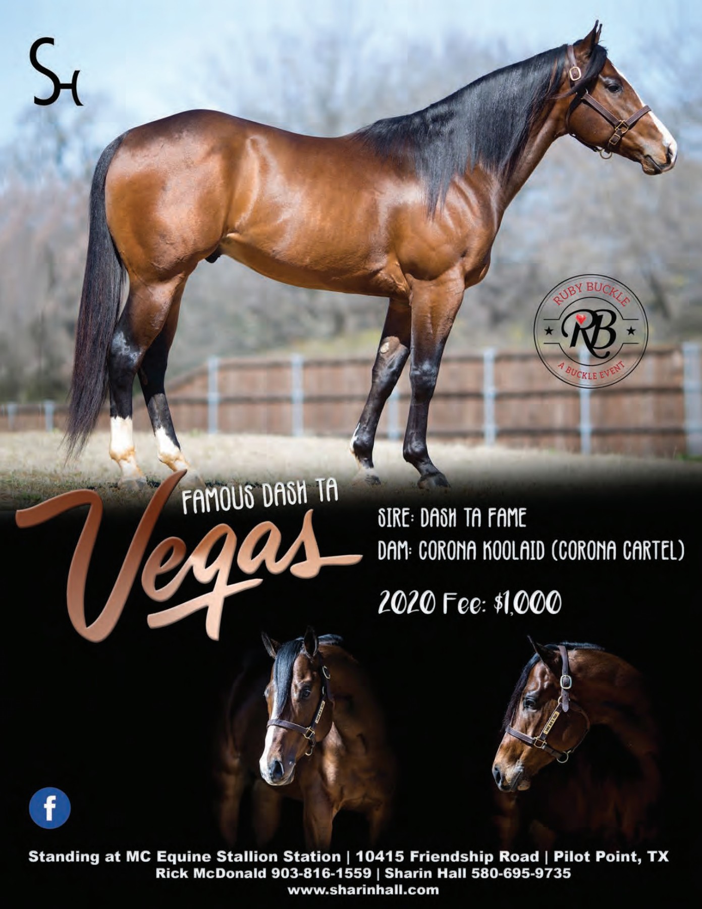 2020 Ruby Buckle Stallion Guide - trishaj1 - Page 46 | Flip PDF Online ...