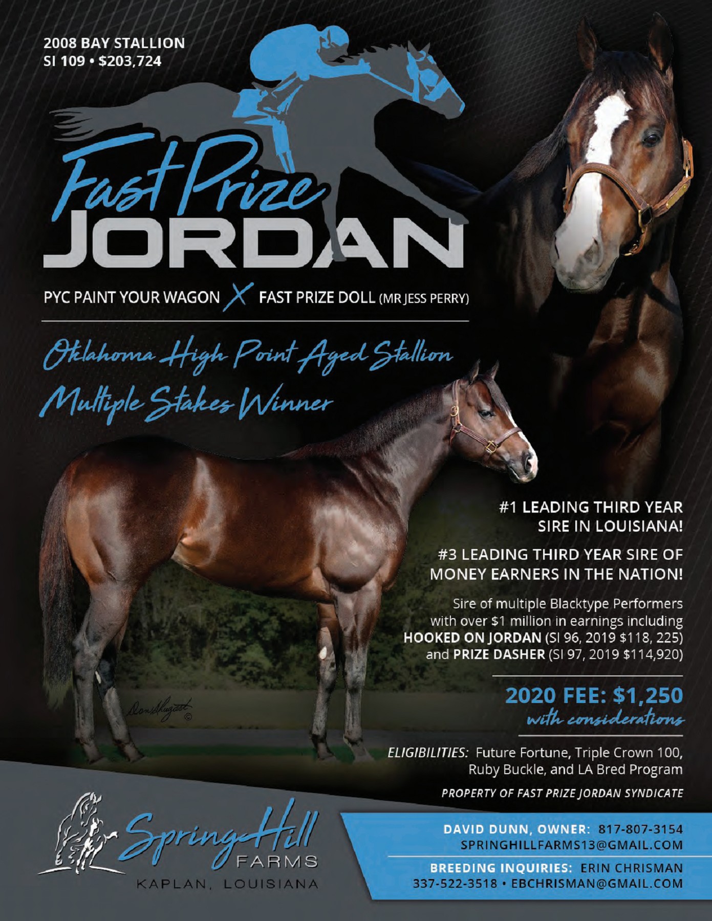 2020 Ruby Buckle Stallion Guide - trishaj1 - Page 47 | Flip PDF Online ...