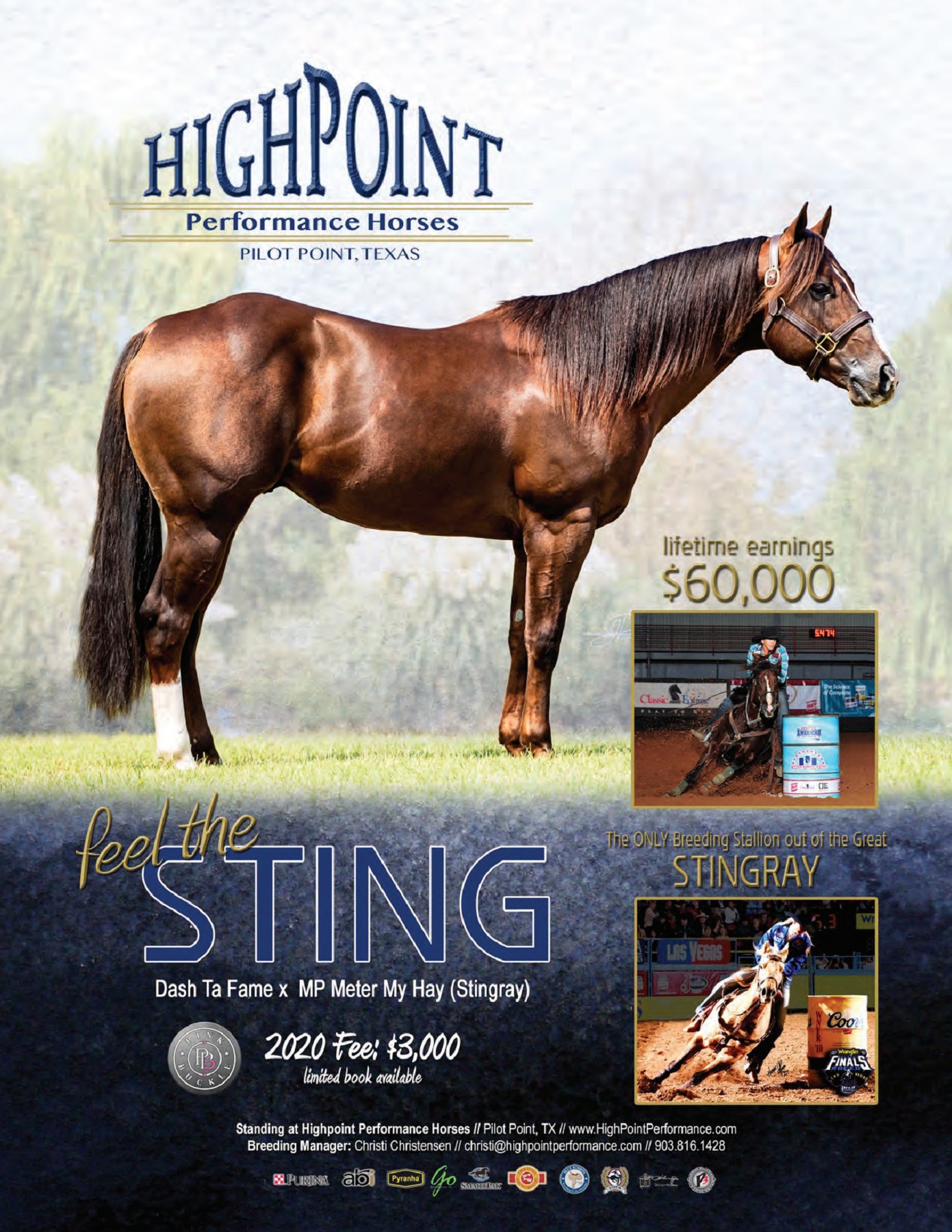 2020 Ruby Buckle Stallion Guide - trishaj1 - Page 48 | Flip PDF Online ...