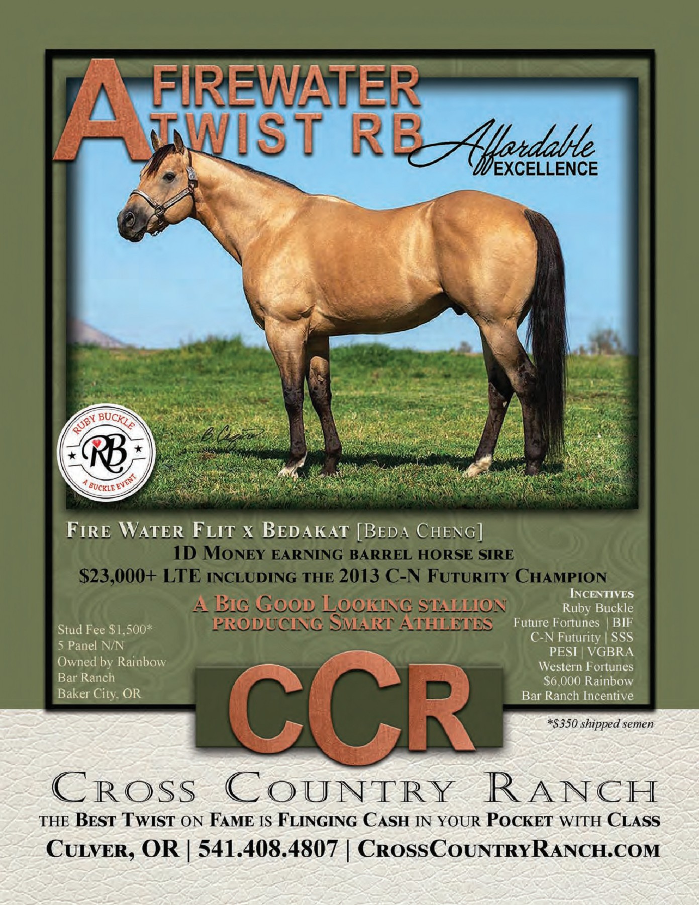 2020 Ruby Buckle Stallion Guide - trishaj1 - Page 5 | Flip PDF Online ...