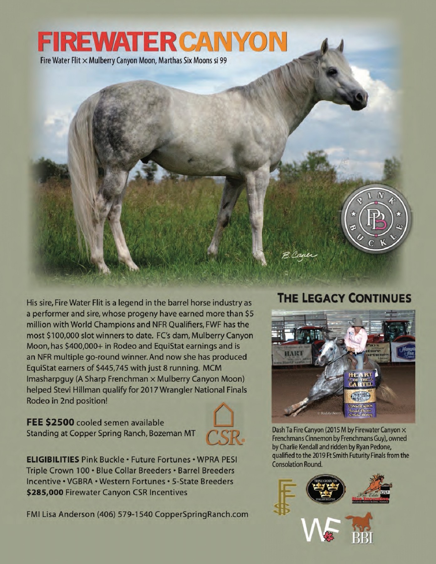 2020 Ruby Buckle Stallion Guide - trishaj1 - Page 50 | Flip PDF Online ...