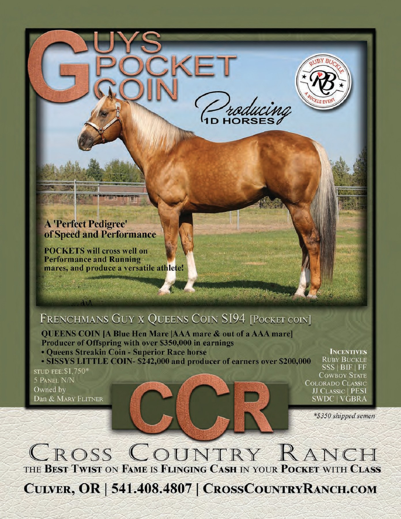 2020 Ruby Buckle Stallion Guide - trishaj1 - Page 65 | Flip PDF Online ...