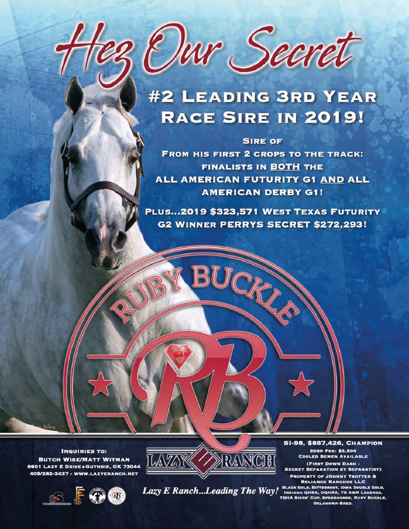 2020 Ruby Buckle Stallion Guide - trishaj1 - Page 68 | Flip PDF Online ...