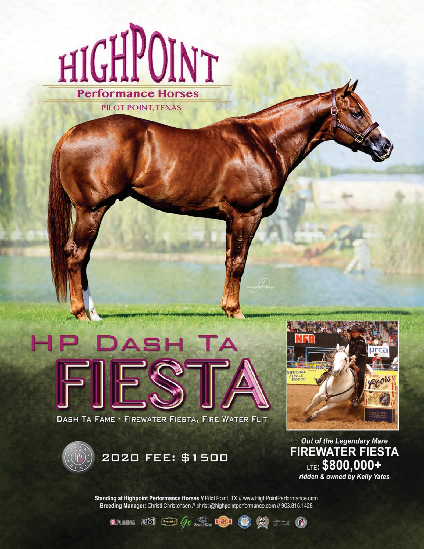 2020 Ruby Buckle Stallion Guide - trishaj1 - Page 70 | Flip PDF Online ...