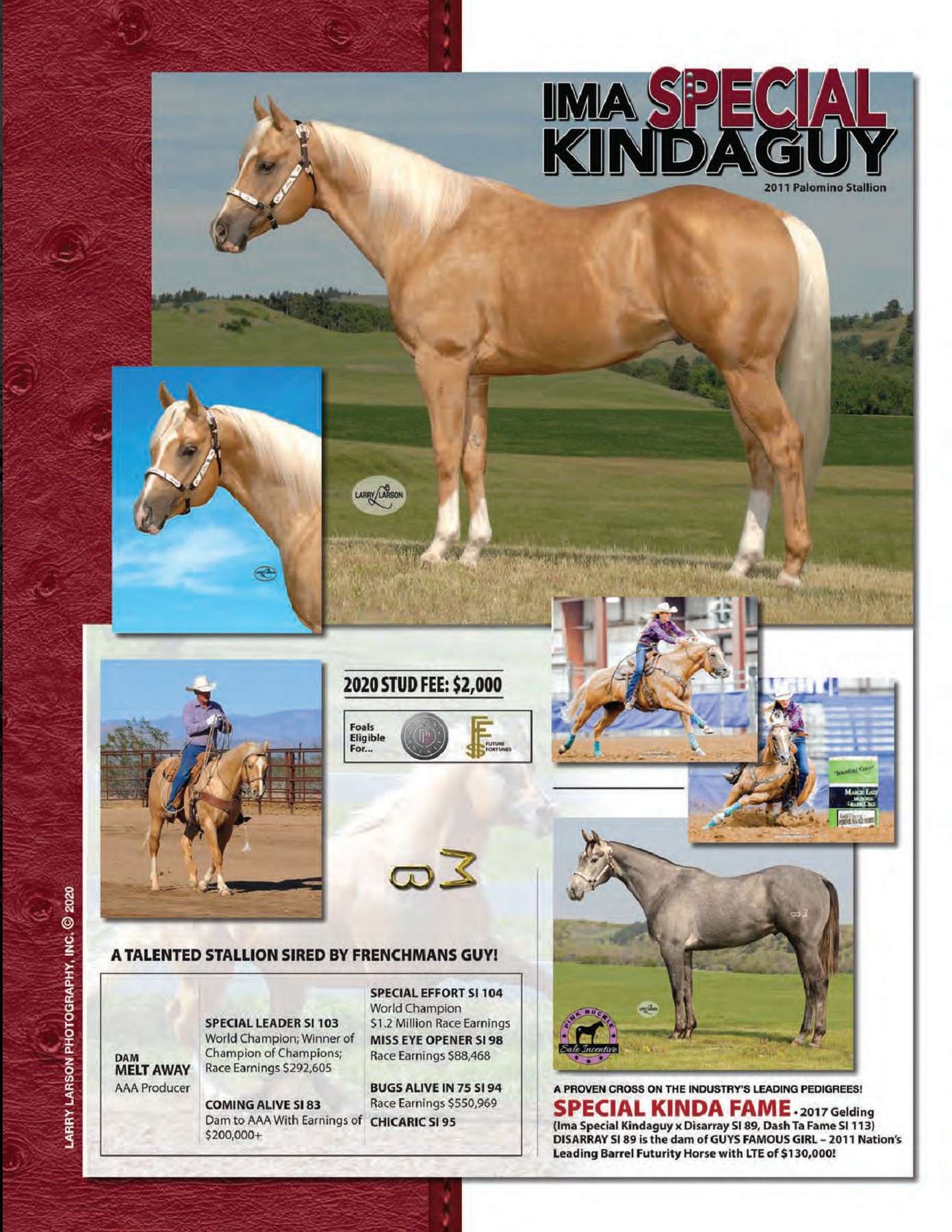 2020 Ruby Buckle Stallion Guide - trishaj1 - Page 73 | Flip PDF Online ...