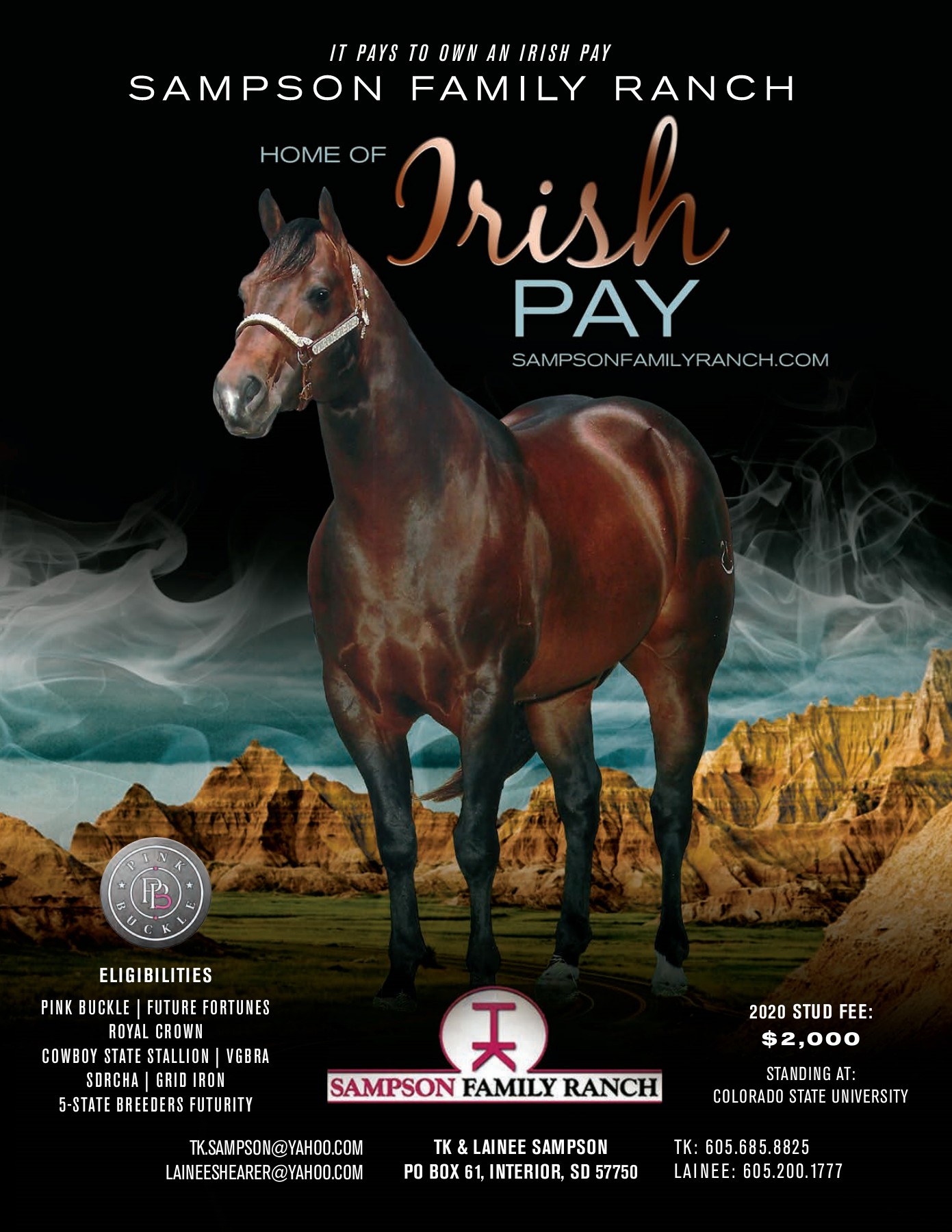 2020 Ruby Buckle Stallion Guide - trishaj1 - Page 75 | Flip PDF Online ...