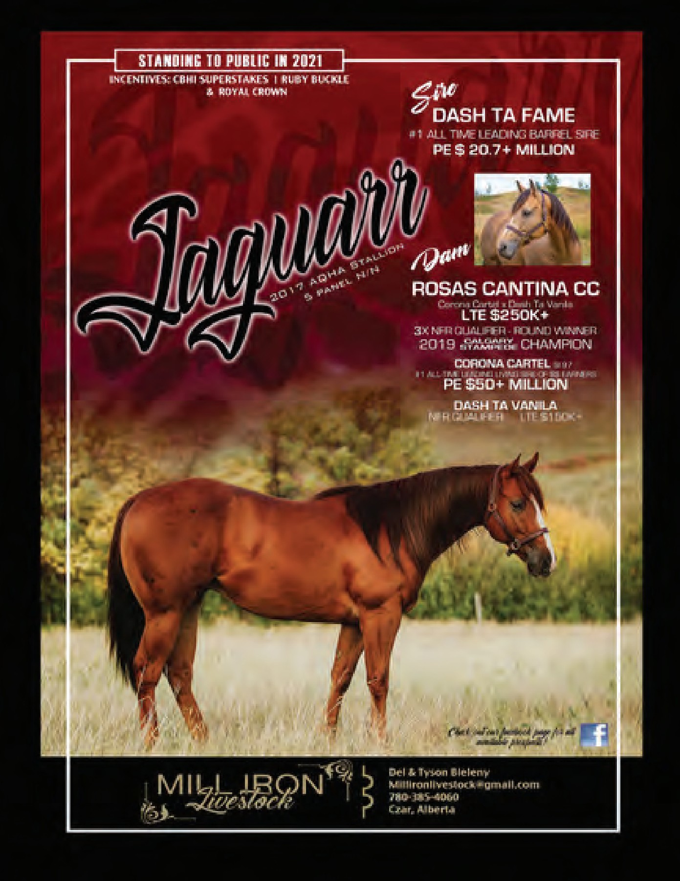 2020 Ruby Buckle Stallion Guide - trishaj1 - Page 77 | Flip PDF Online ...