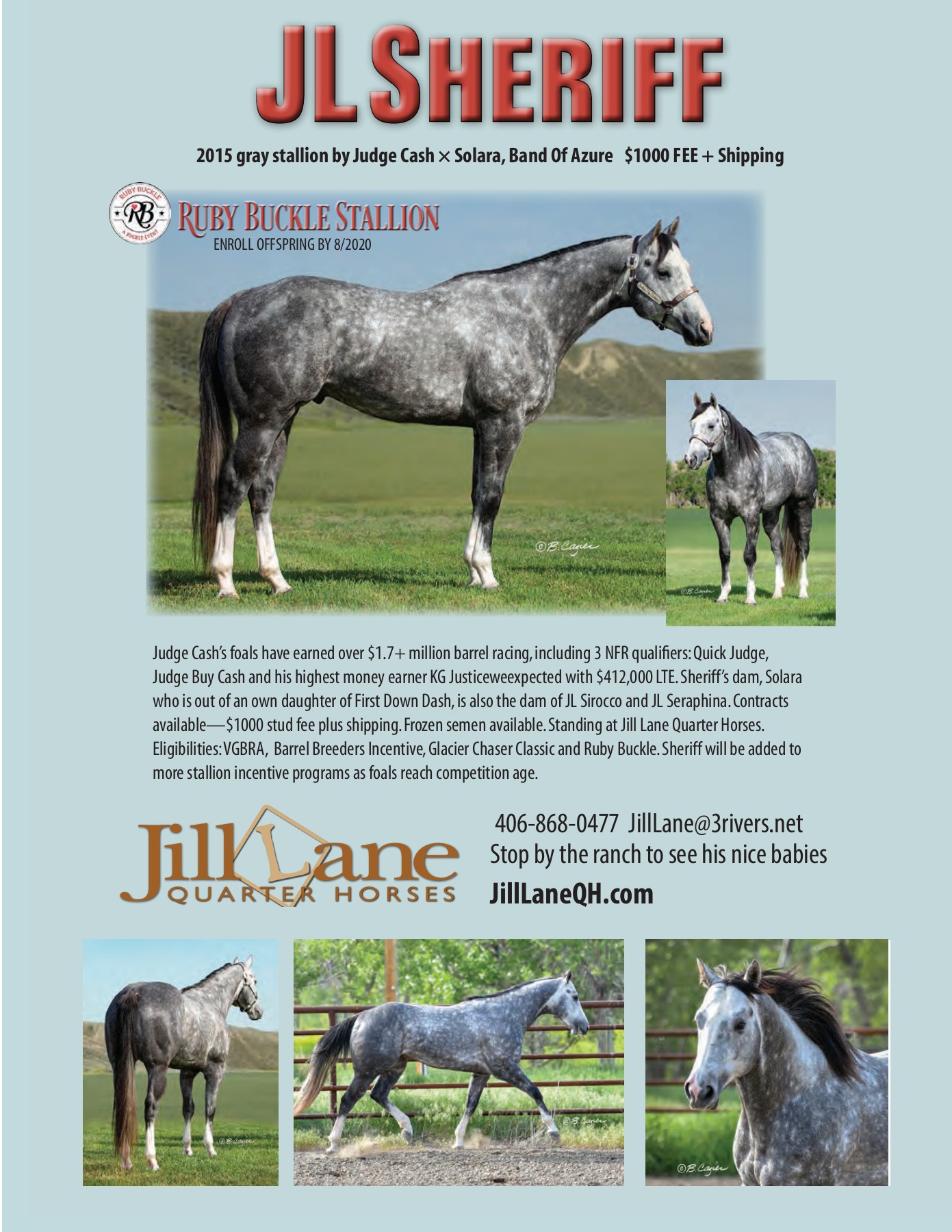 2020 Ruby Buckle Stallion Guide - trishaj1 - Page 83 | Flip PDF Online ...