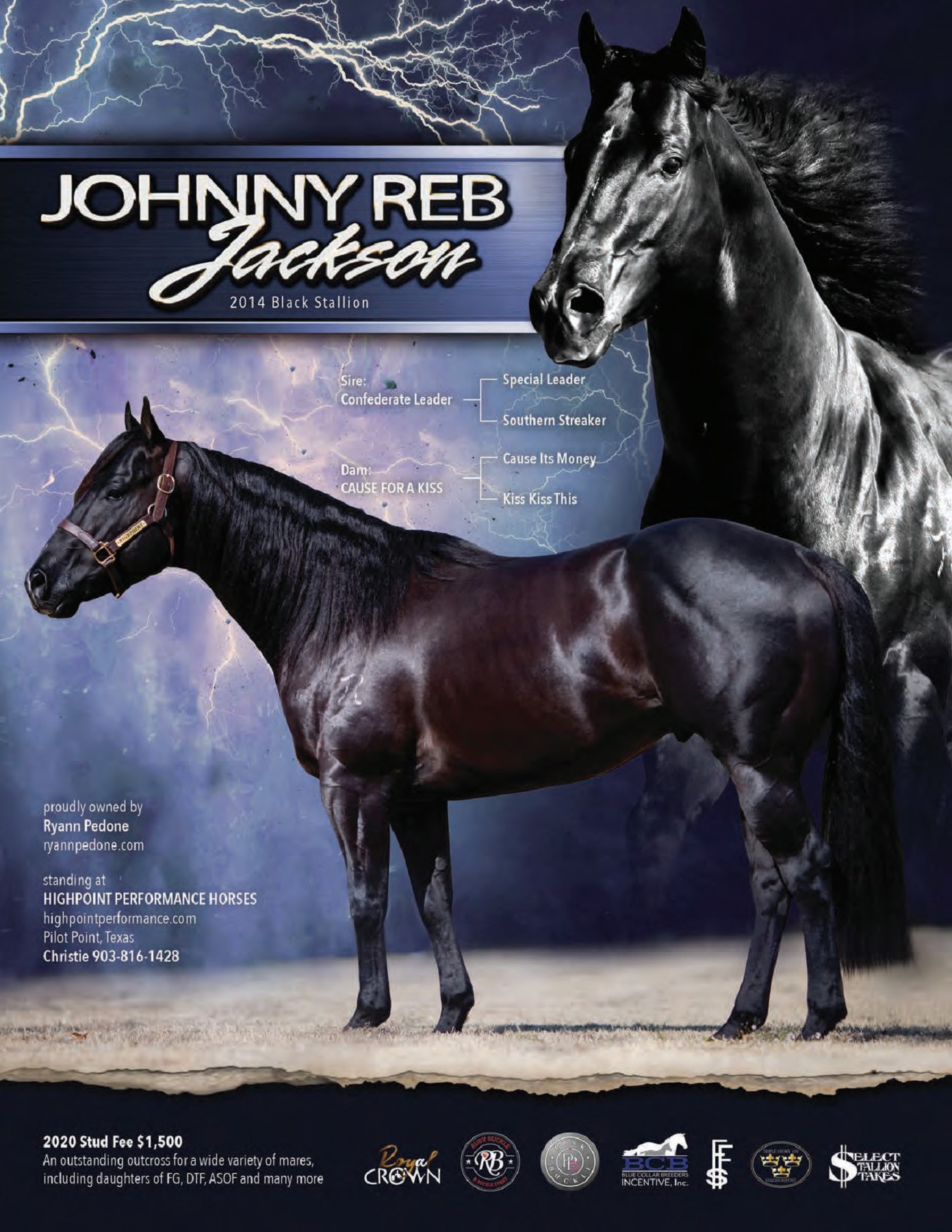 2020 Ruby Buckle Stallion Guide - trishaj1 - Page 86 | Flip PDF Online ...