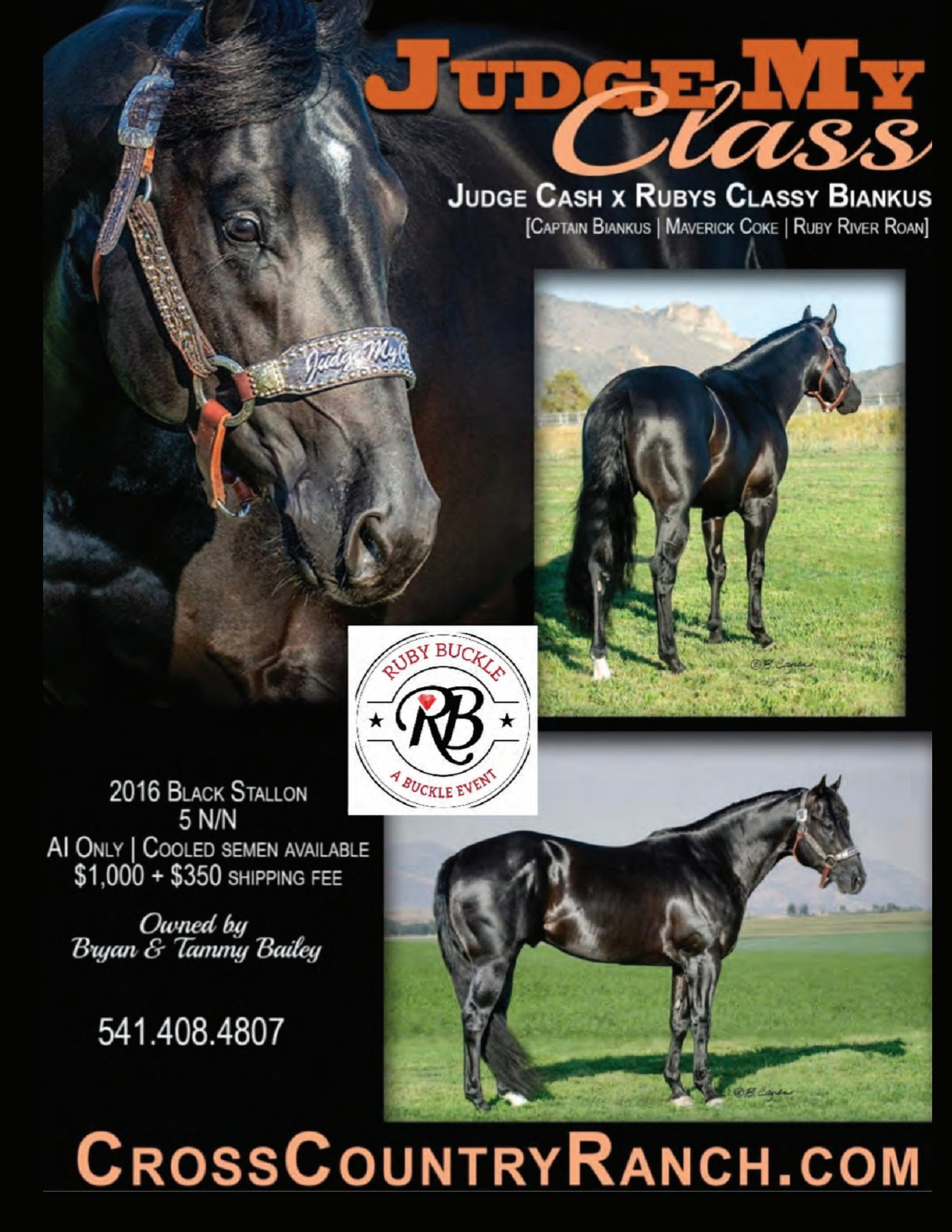 2020 Ruby Buckle Stallion Guide - trishaj1 - Page 87 | Flip PDF Online ...