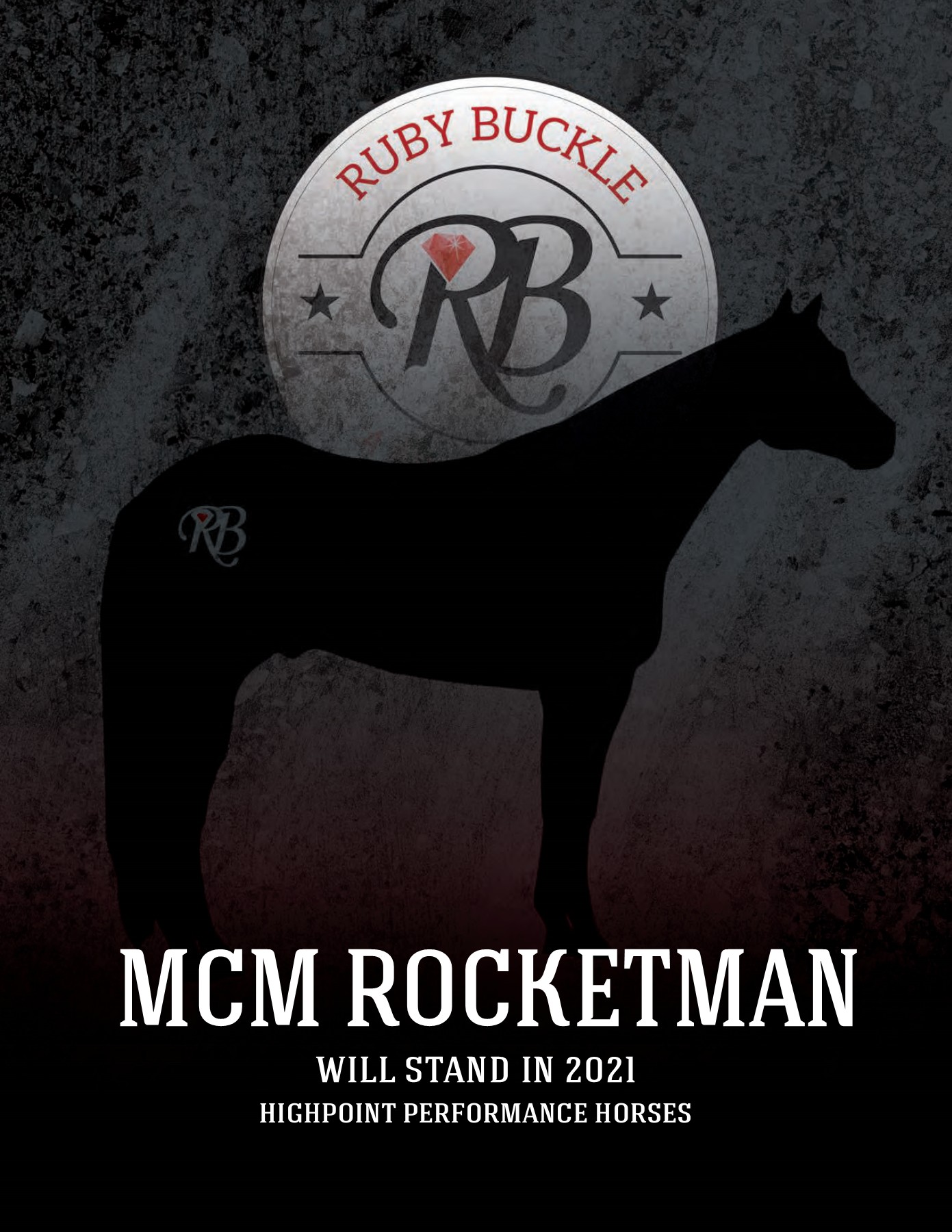 2020 Ruby Buckle Stallion Guide - trishaj1 - Page 95 | Flip PDF Online ...