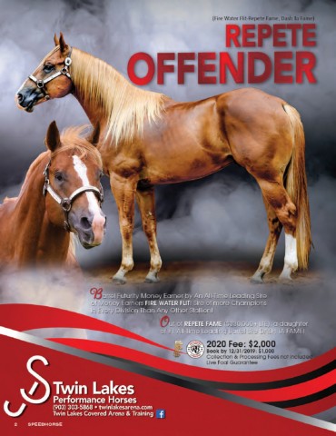 2020 Ruby Buckle Stallion Guide - trishaj1 - Page 120 | Flip PDF Online ...