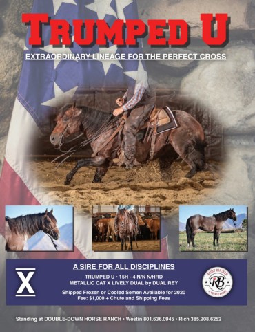 2020 Ruby Buckle Stallion Guide - trishaj1 - Page 148 | Flip PDF Online ...
